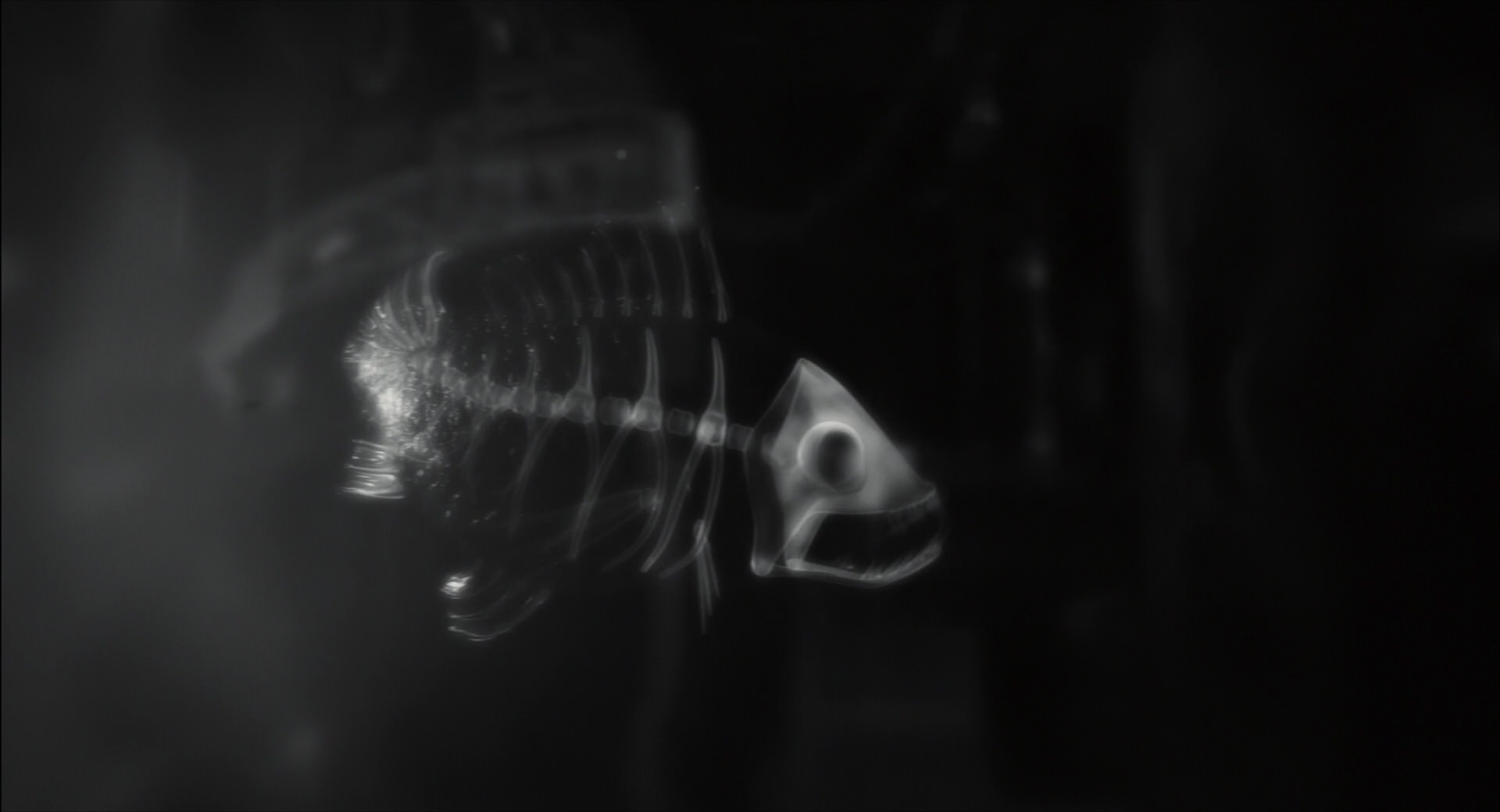 Frankenweenie (2012) - Animation Screencaps.com