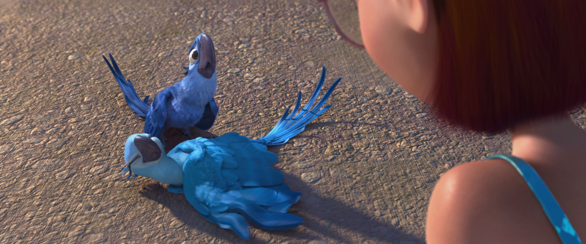 Rio (2011) - Animation Screencaps.com