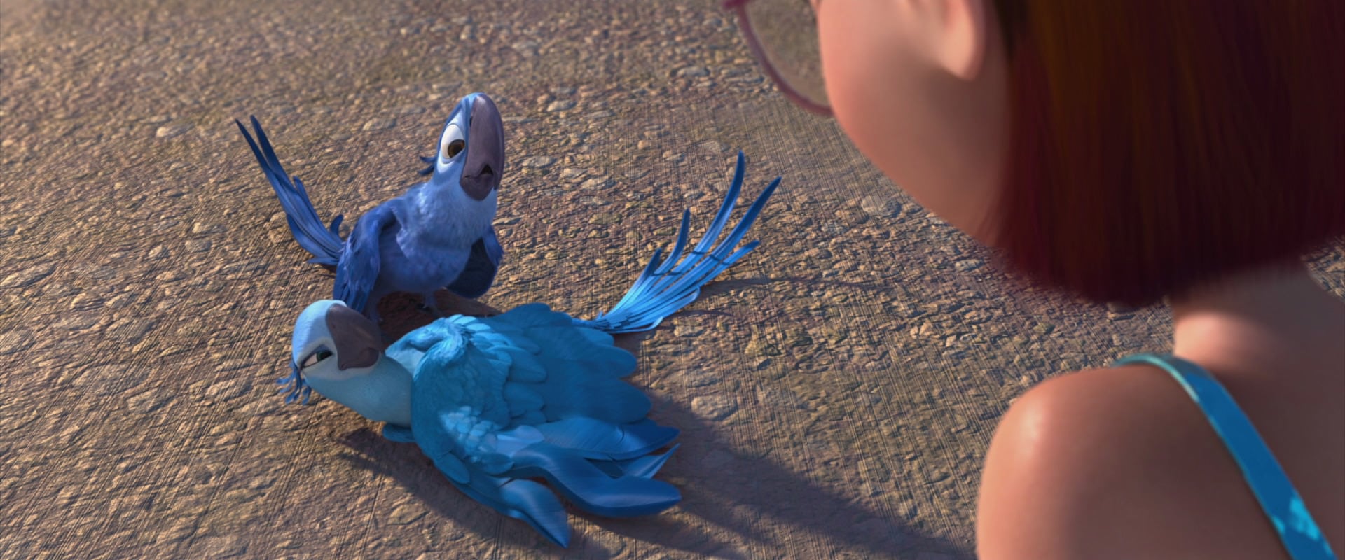 Rio (2011) - Animation Screencaps.com