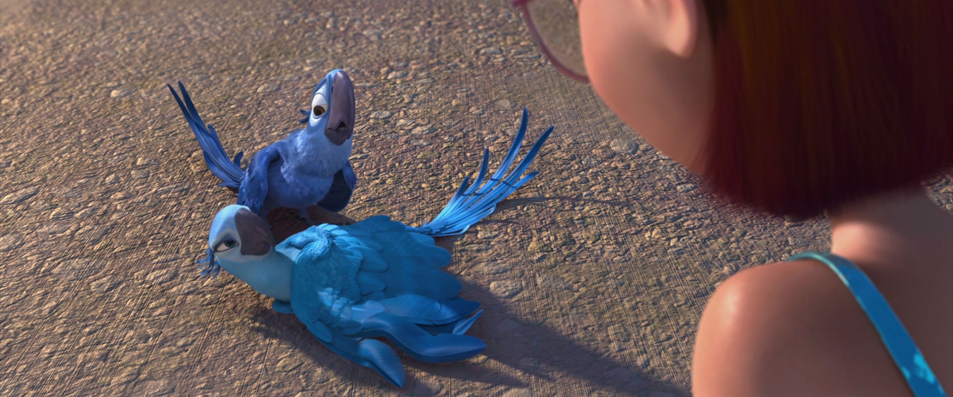 Rio (2011) - Animation Screencaps.com