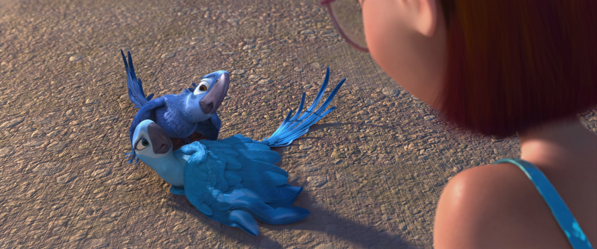 Rio (2011) - Animation Screencaps.com