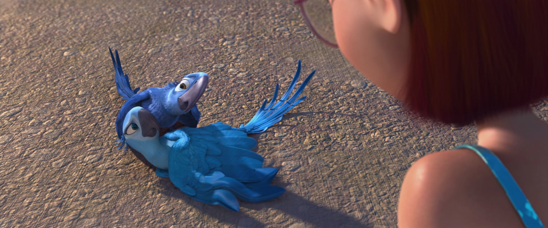 Rio (2011) - Animation Screencaps.com