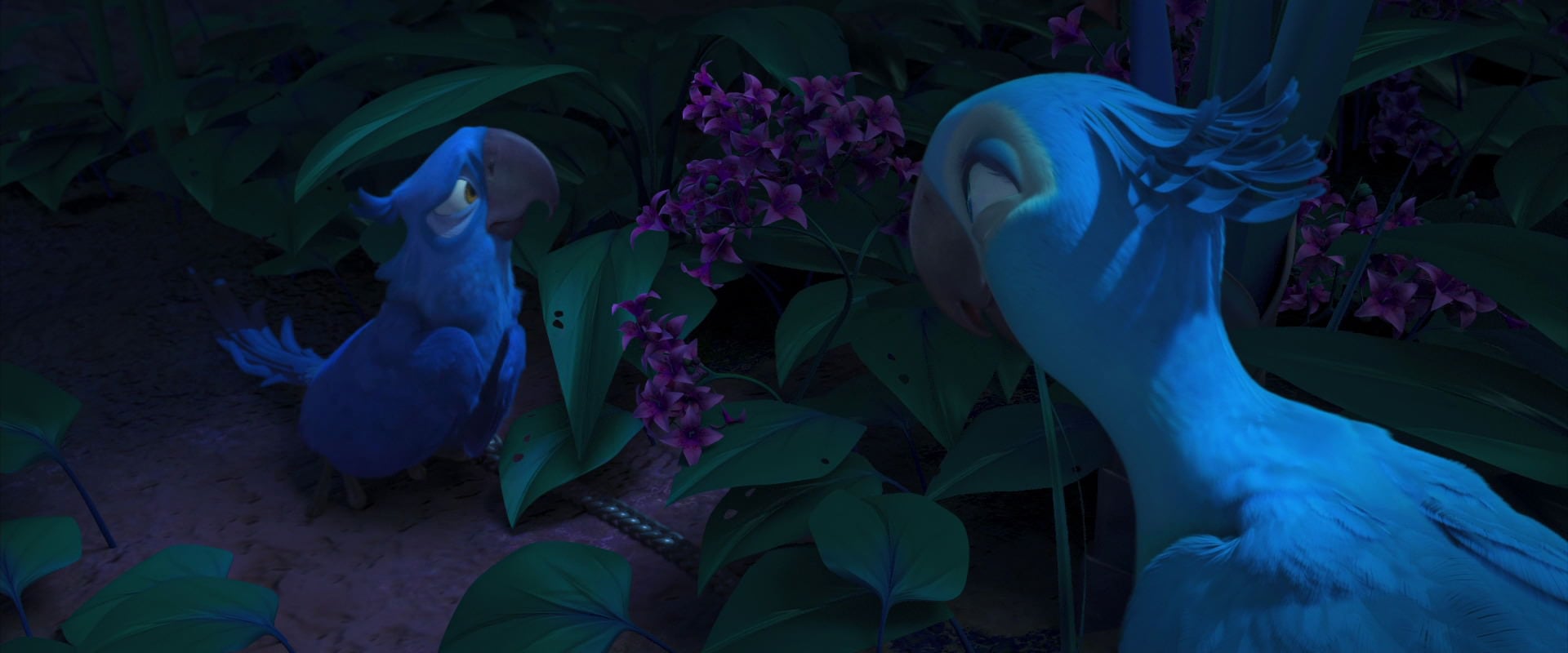 Rio (2011) - Animation Screencaps.com