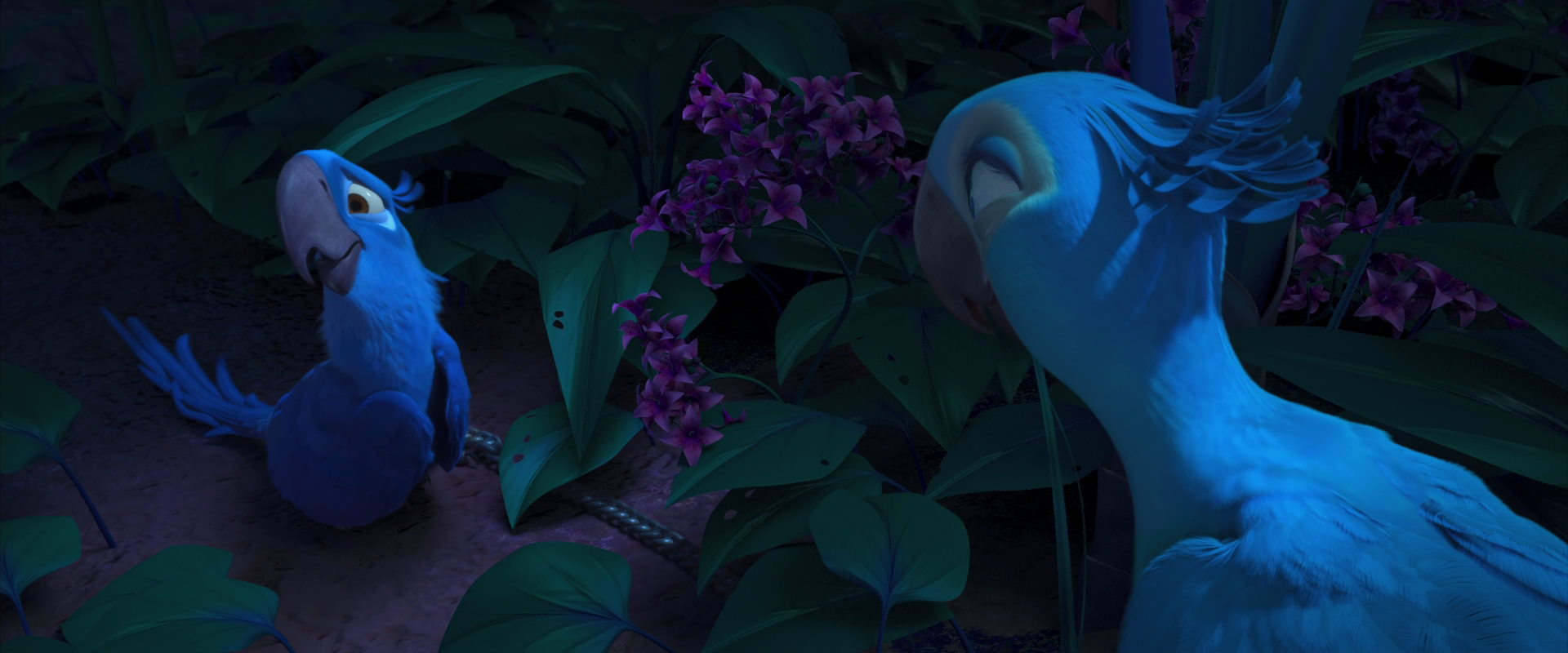 Rio (2011) - Animation Screencaps.com