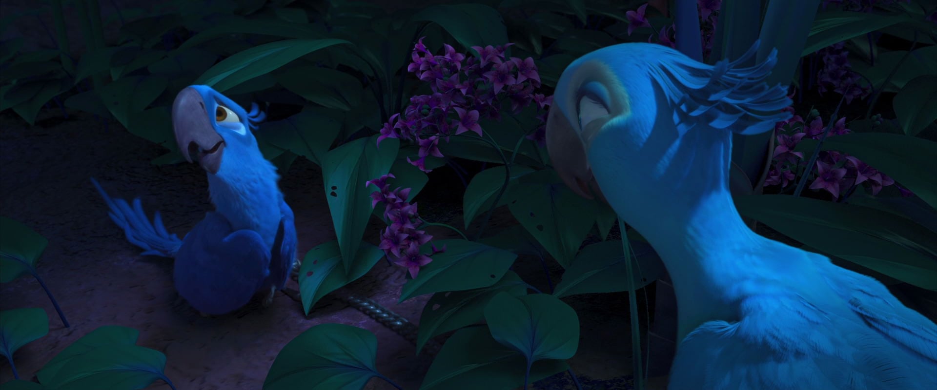Rio (2011) - Animation Screencaps.com