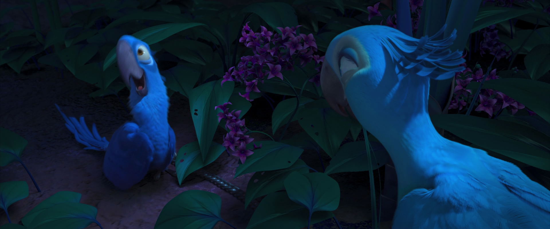 Rio (2011) - Animation Screencaps.com