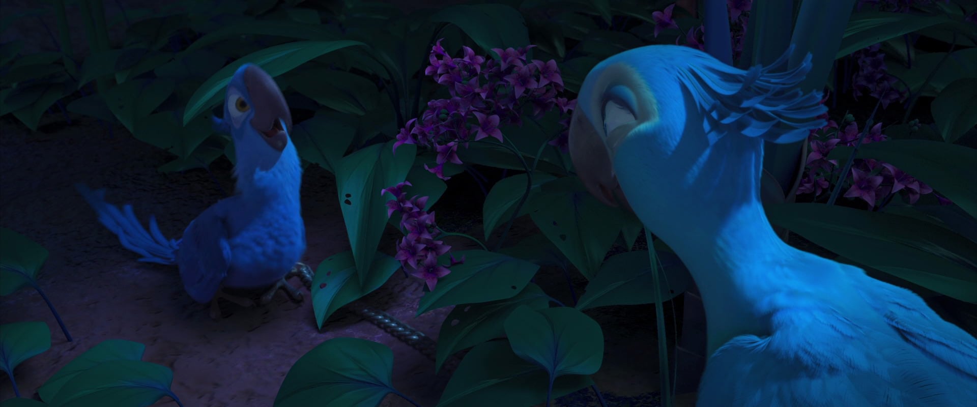 Rio (2011) - Animation Screencaps.com