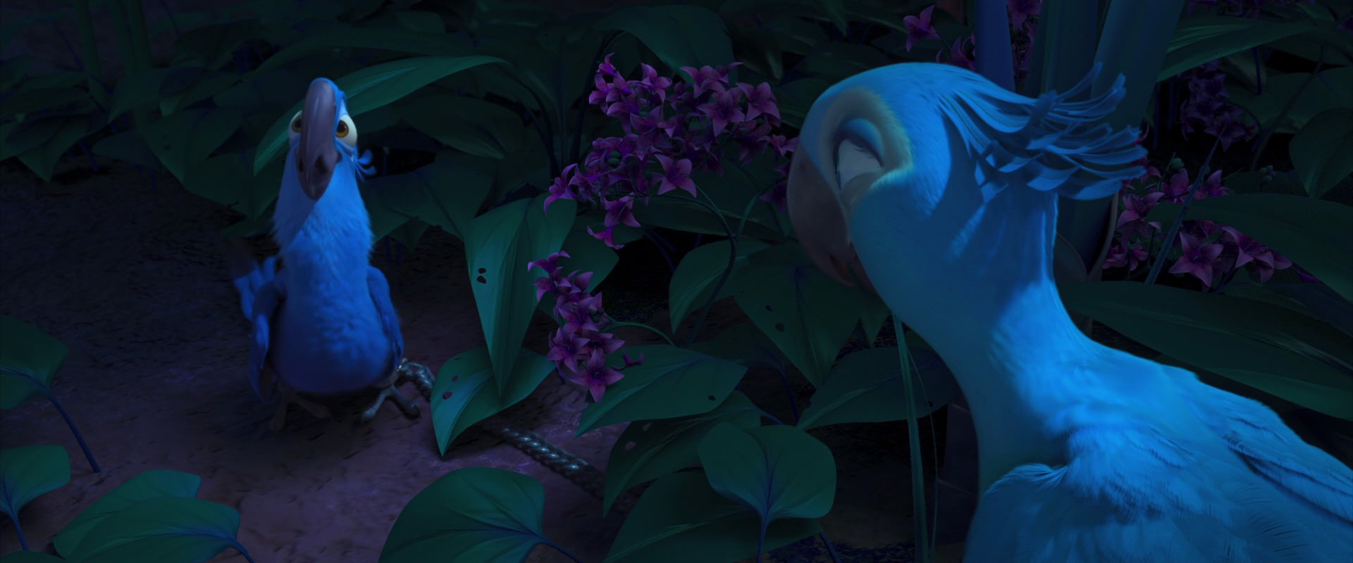 Rio (2011) - Animation Screencaps.com