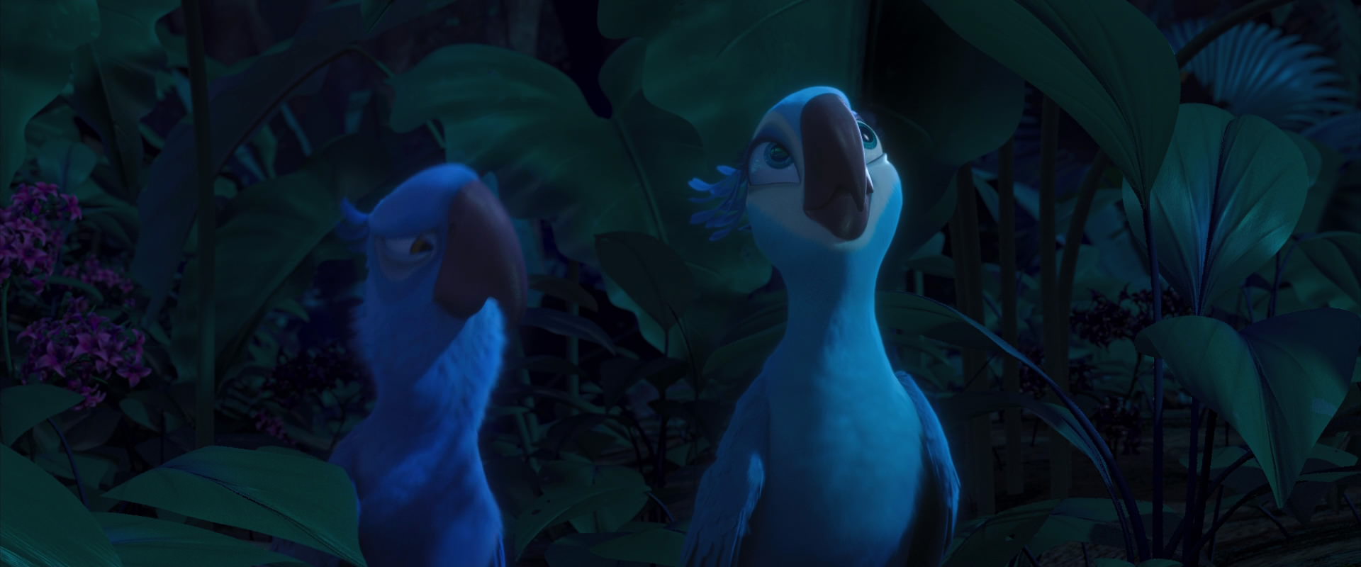 Rio (2011) - Animation Screencaps.com