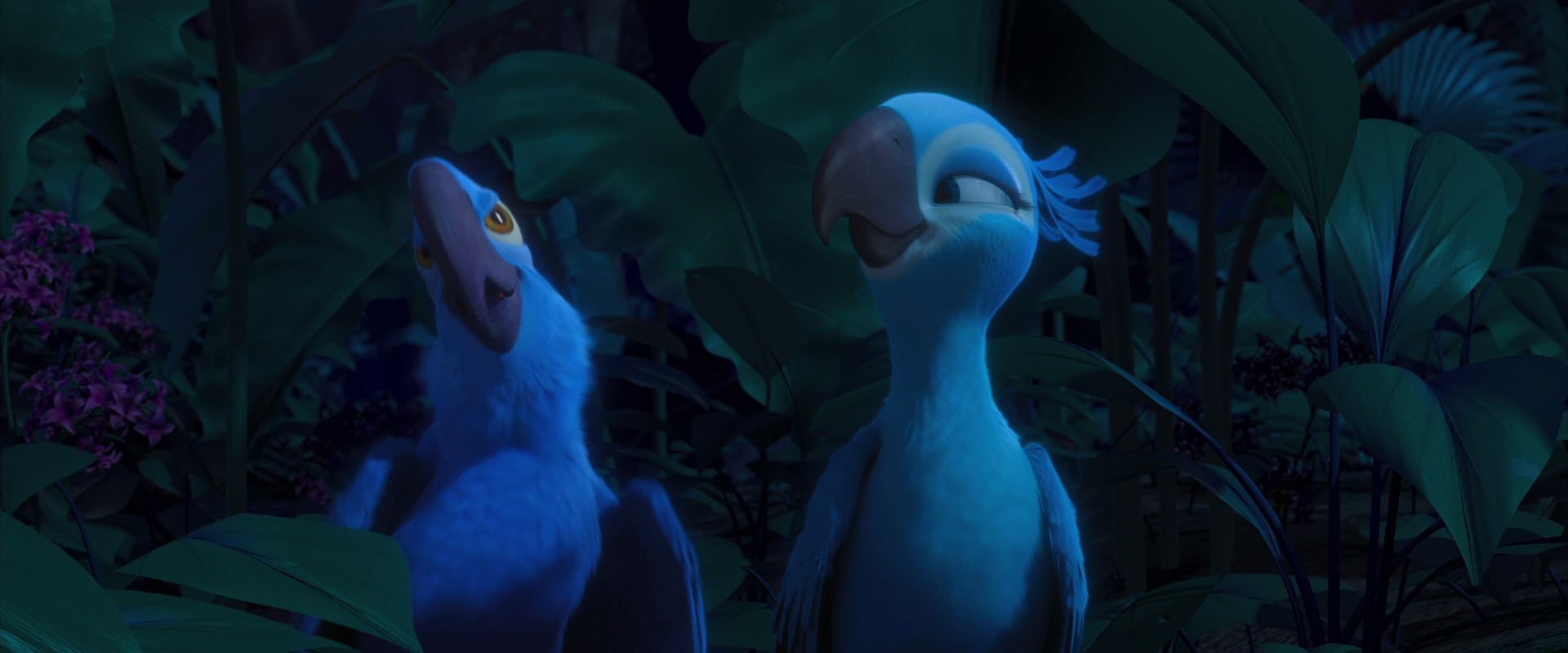 Rio (2011) - Animation Screencaps.com
