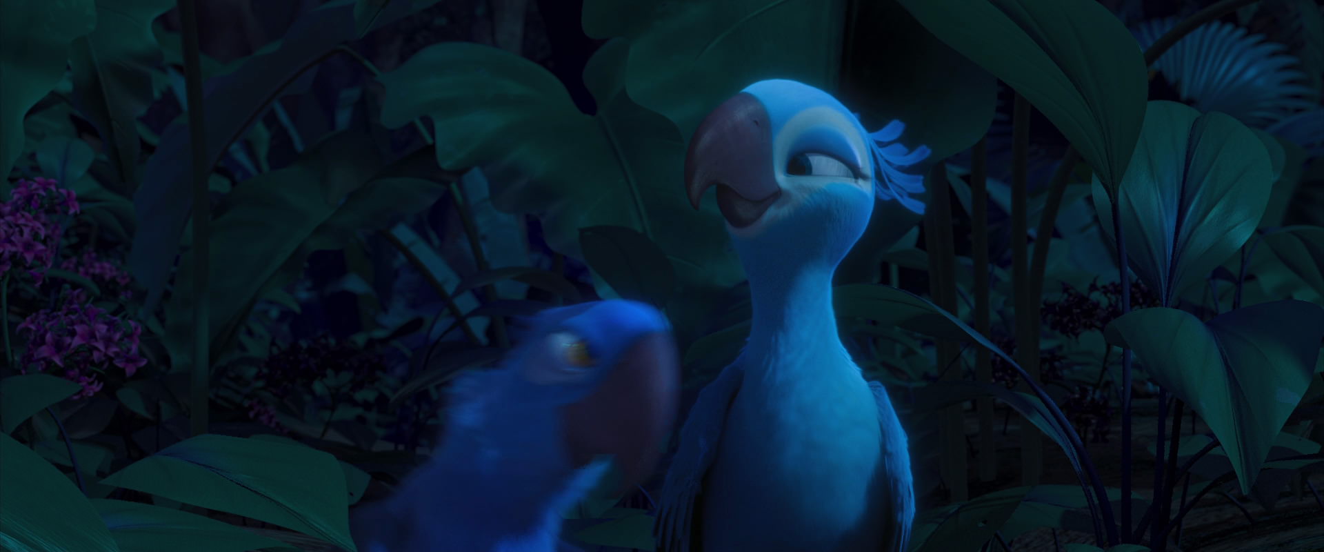 Rio (2011) - Animation Screencaps.com