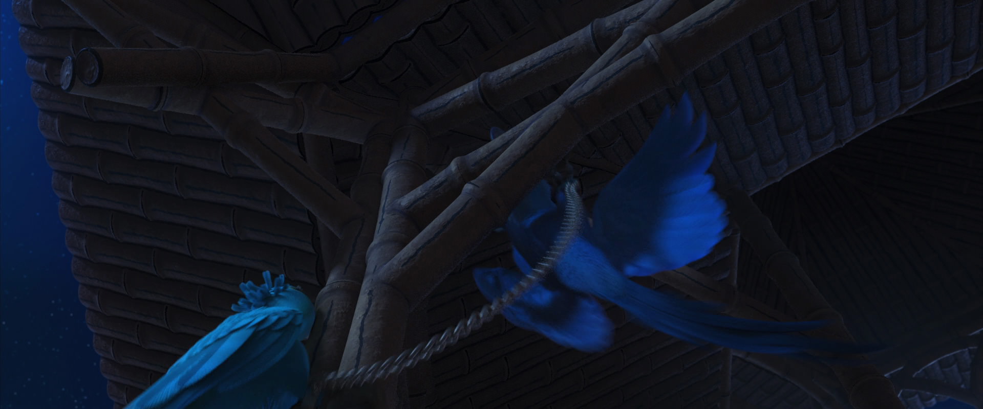 Rio (2011) - Animation Screencaps.com