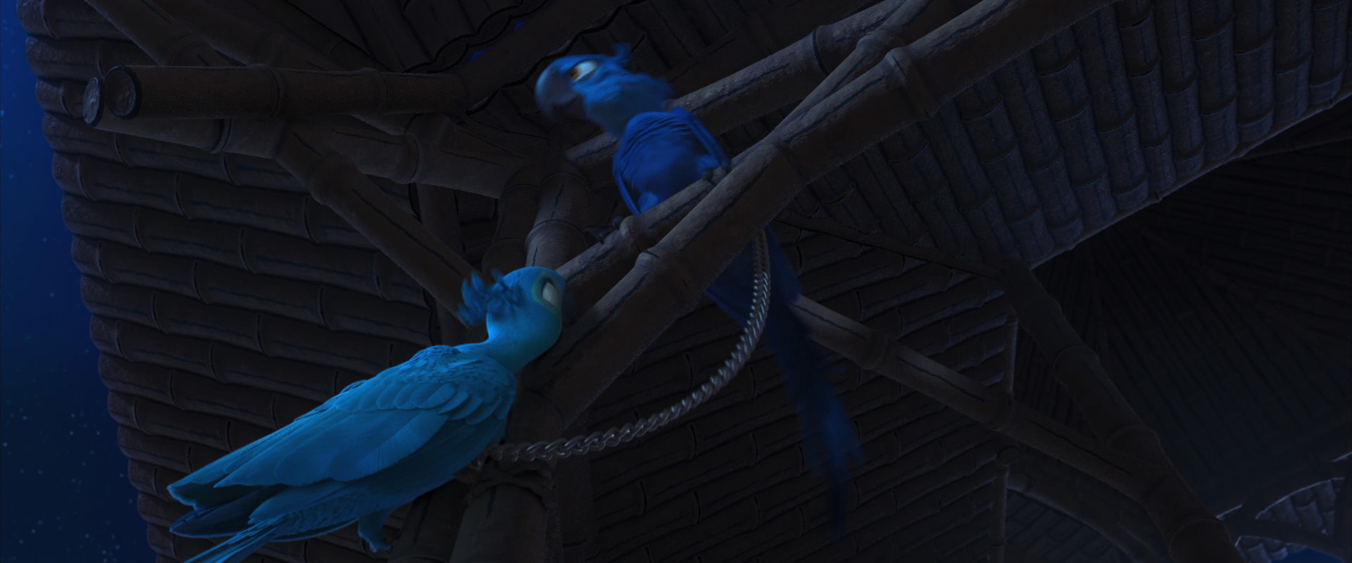 Rio (2011) - Animation Screencaps.com