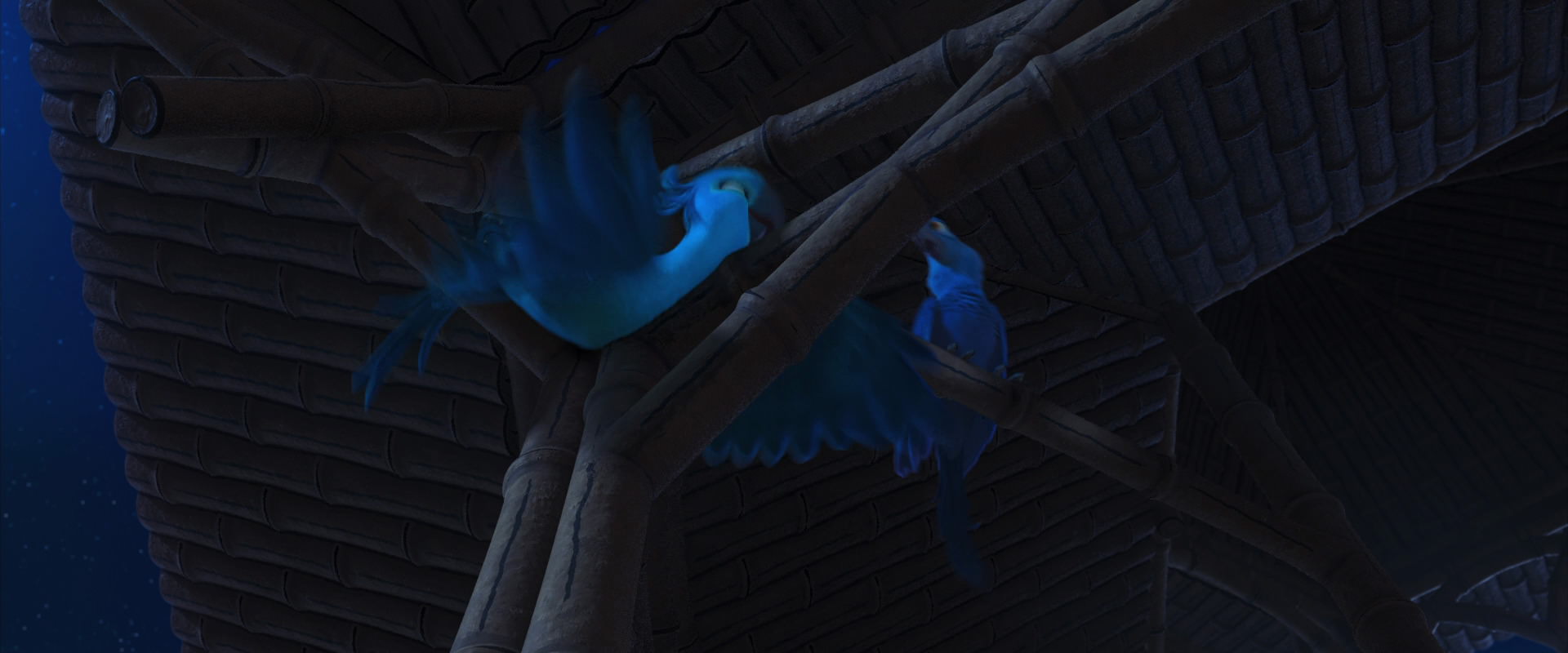 Rio (2011) - Animation Screencaps.com