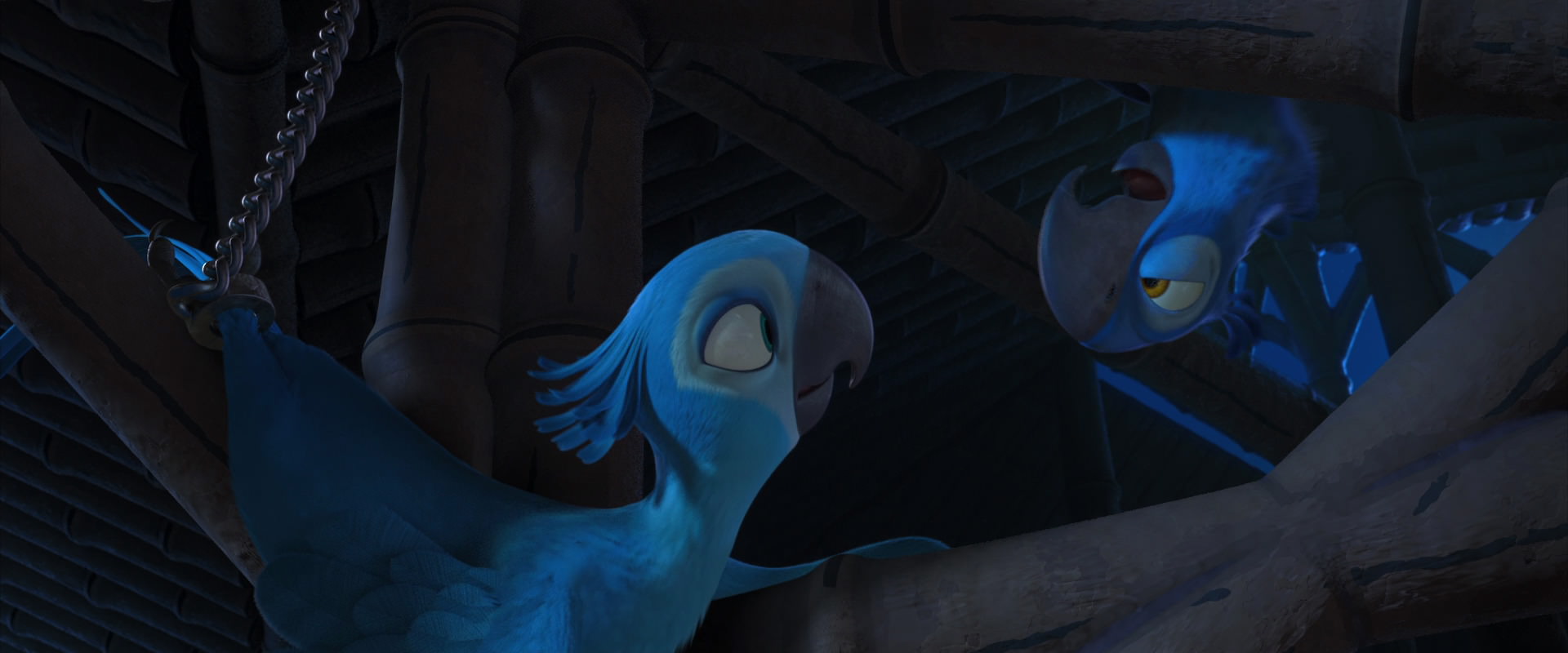 Rio (2011) - Animation Screencaps.com