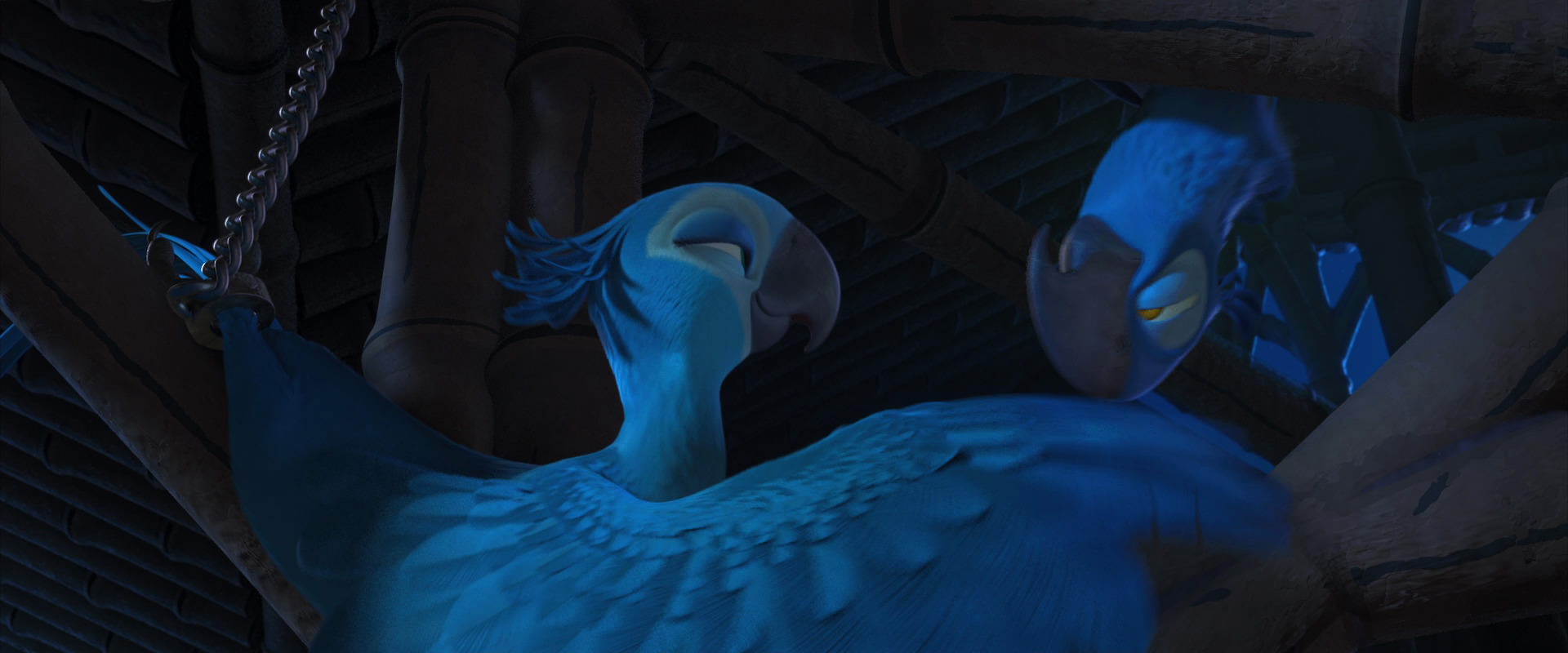 Rio (2011) - Animation Screencaps.com