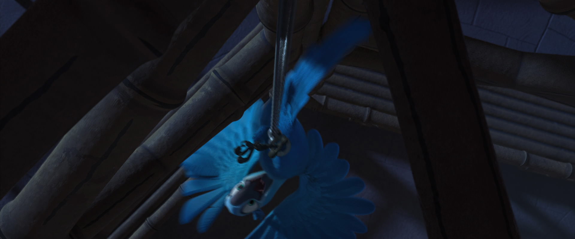 Rio (2011) - Animation Screencaps.com