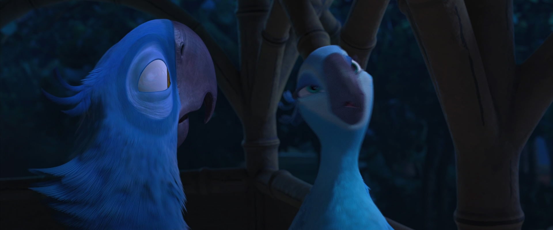 Rio (2011) - Animation Screencaps.com