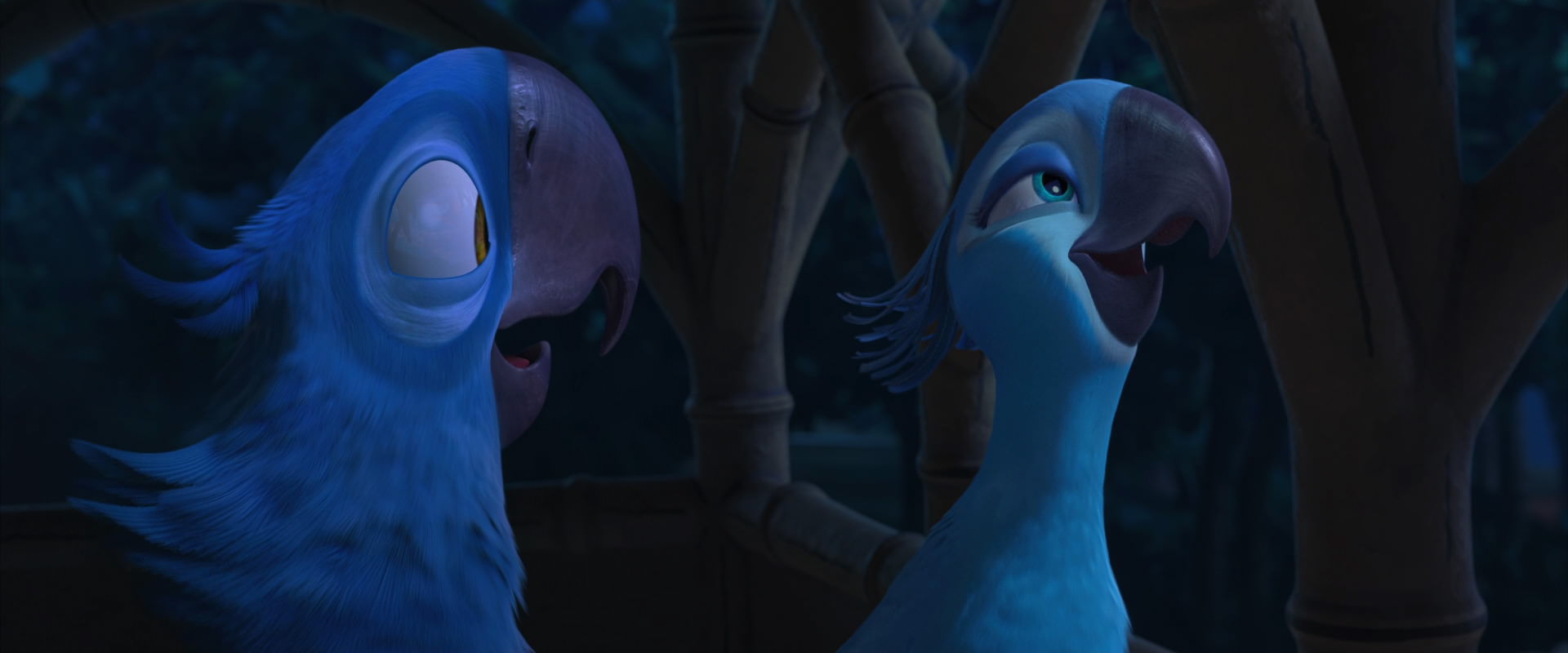 Rio (2011) - Animation Screencaps.com