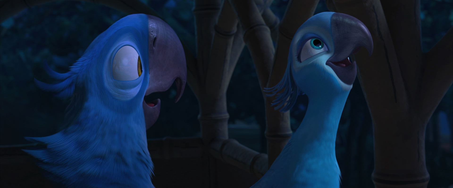 Rio (2011) - Animation Screencaps.com