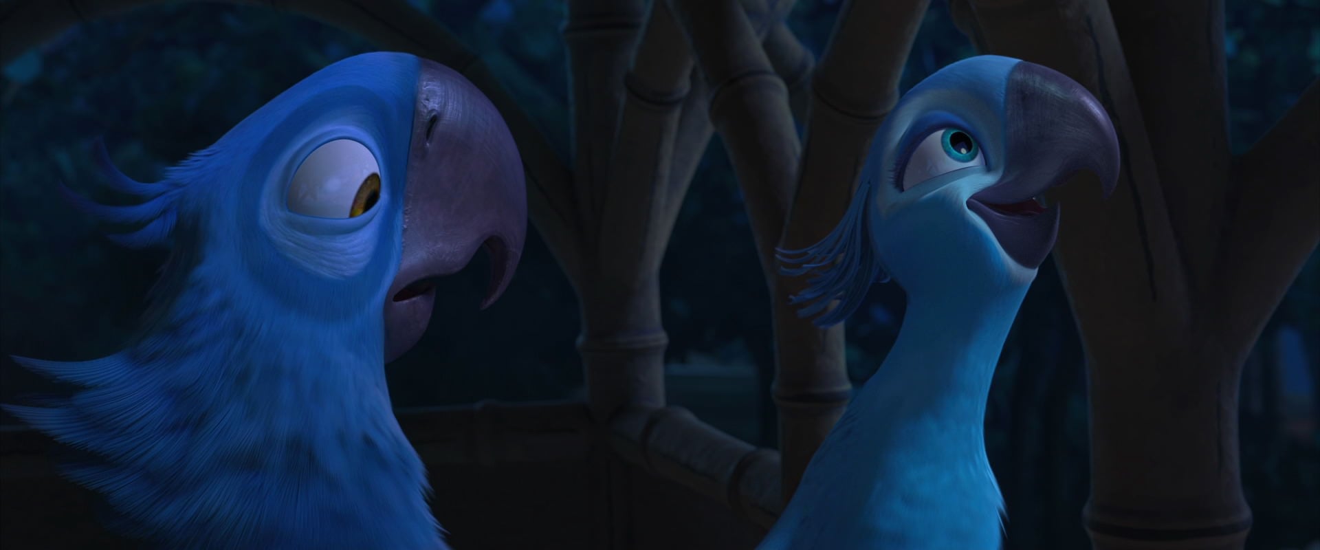 Rio (2011) - Animation Screencaps.com