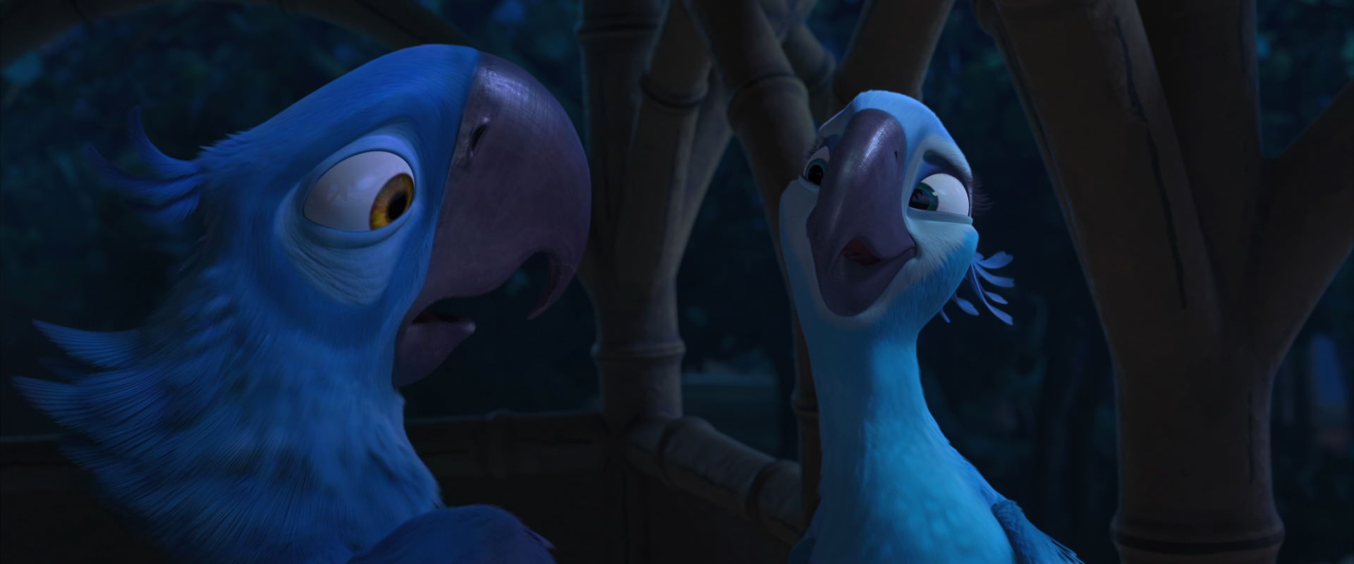 Rio (2011) - Animation Screencaps.com