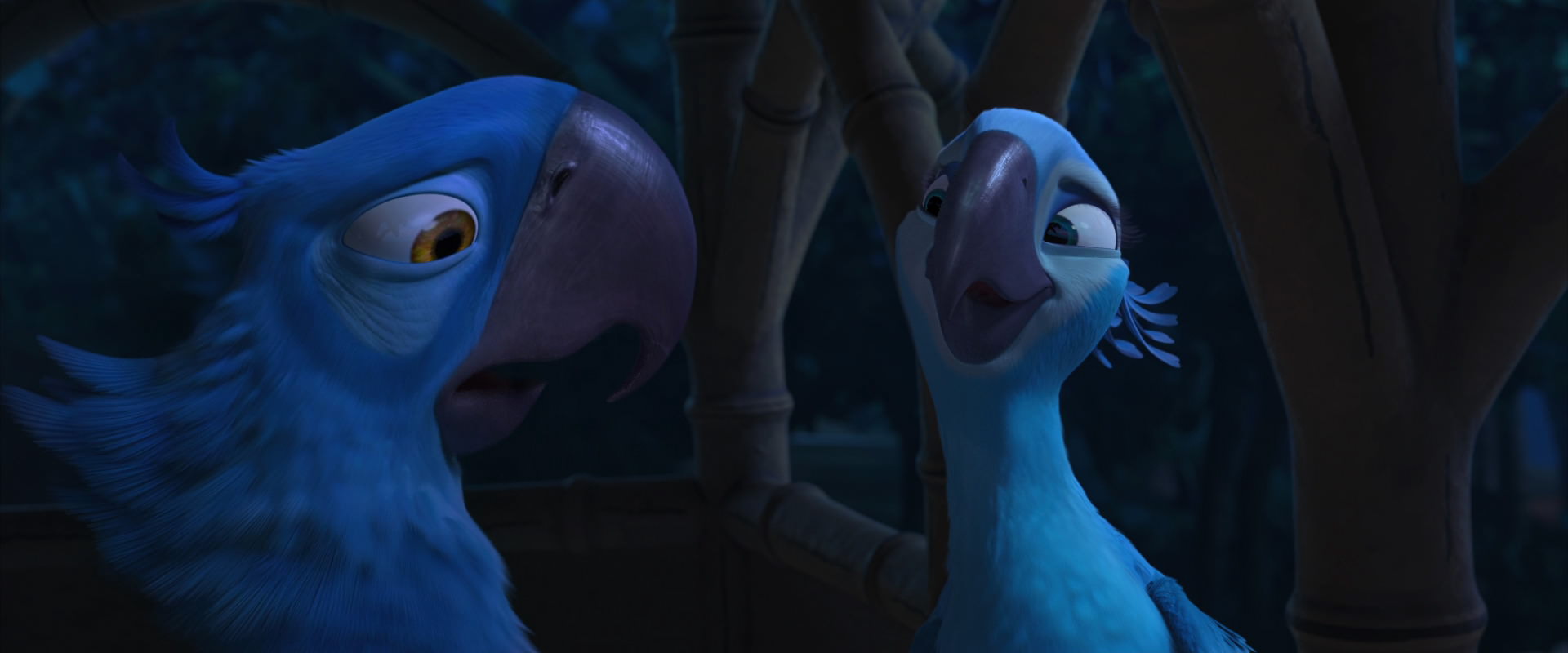 Rio (2011) - Animation Screencaps.com