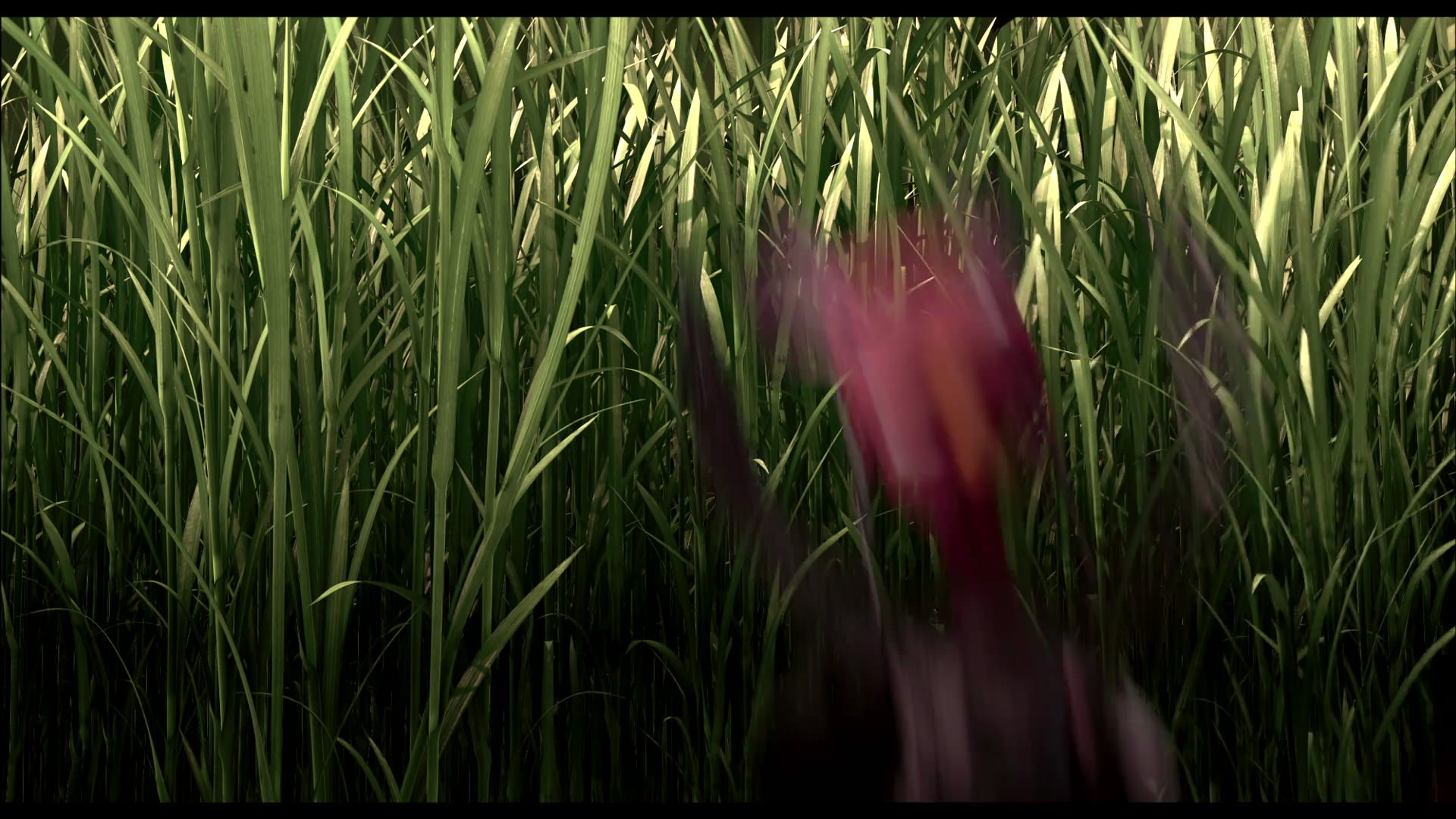 Free Birds (2013) - Animation Screencaps.com