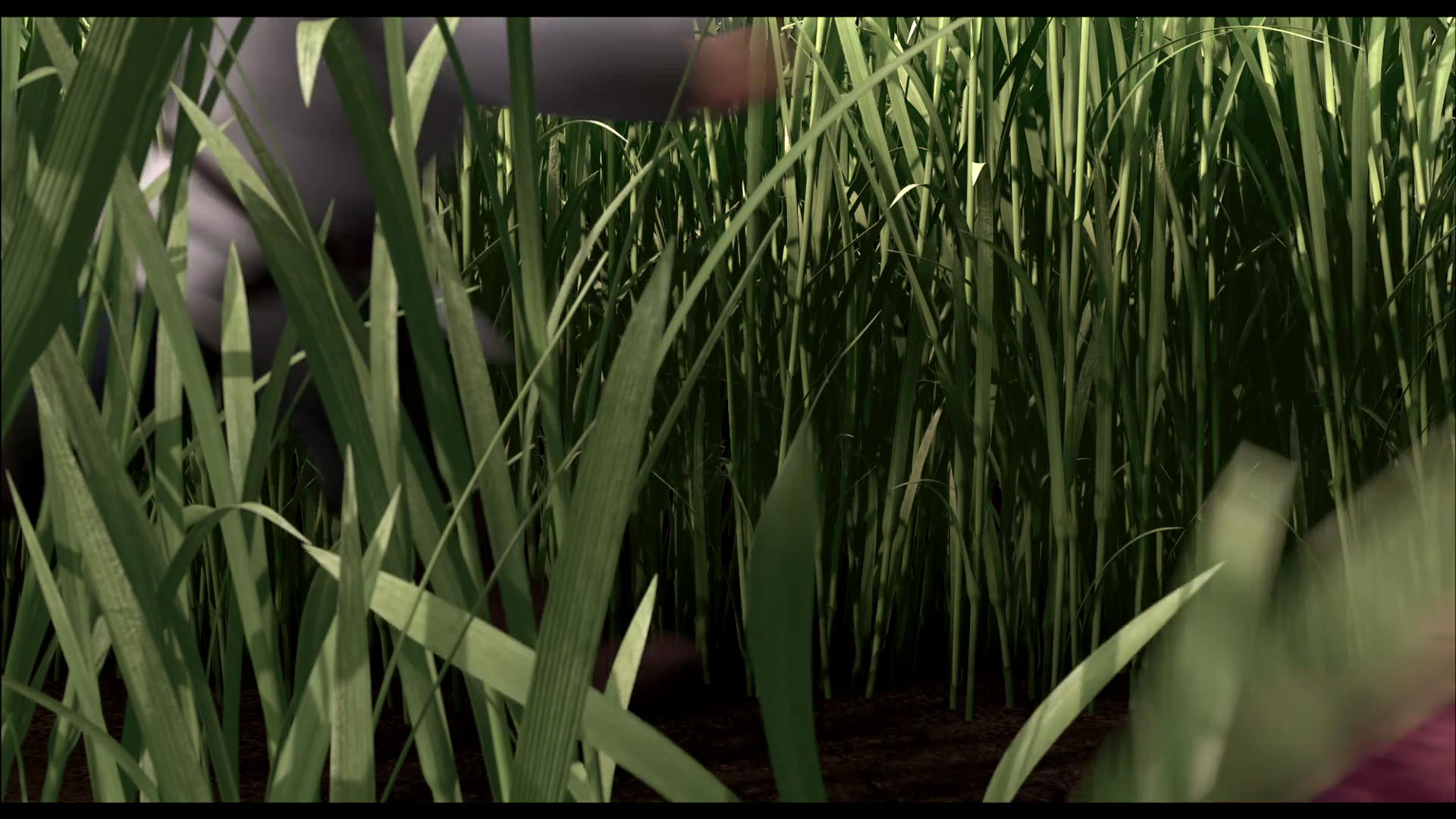 Free Birds (2013) - Animation Screencaps.com