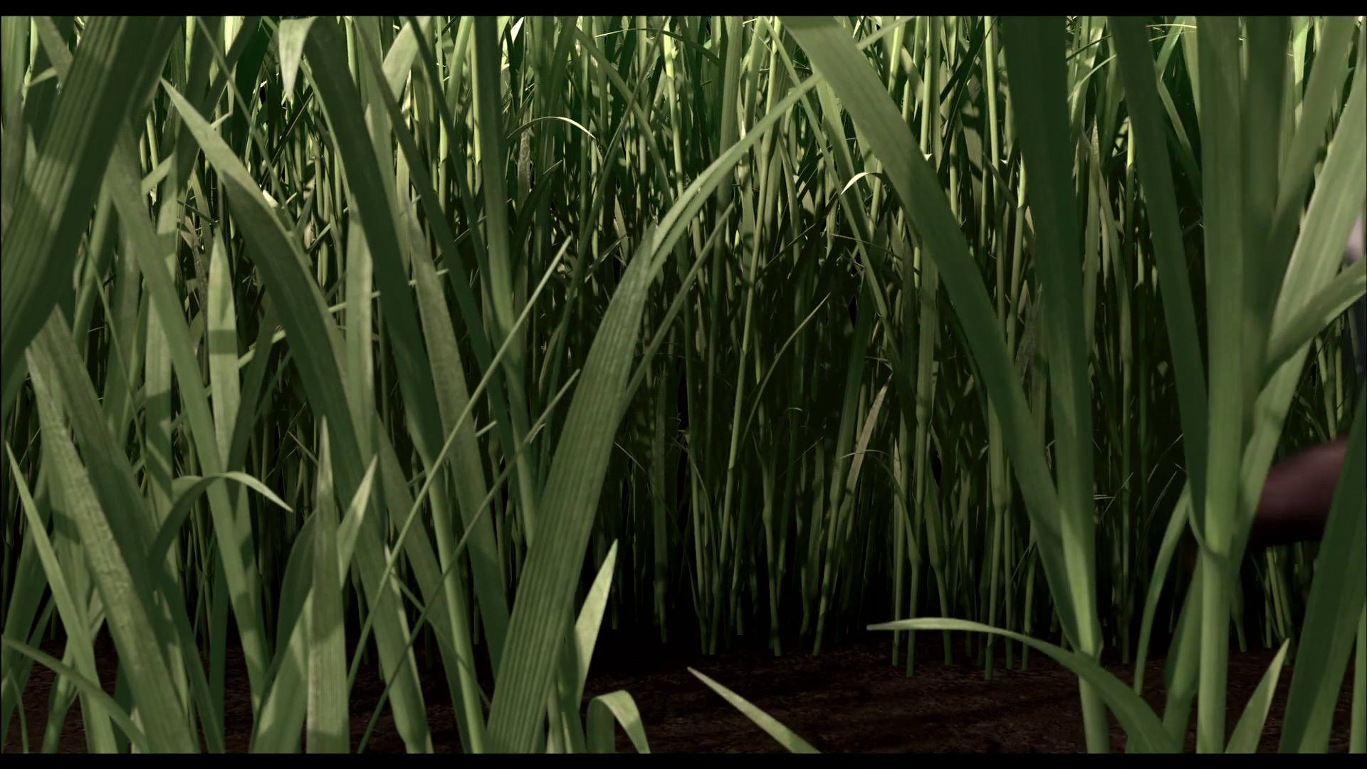 Free Birds (2013) - Animation Screencaps.com