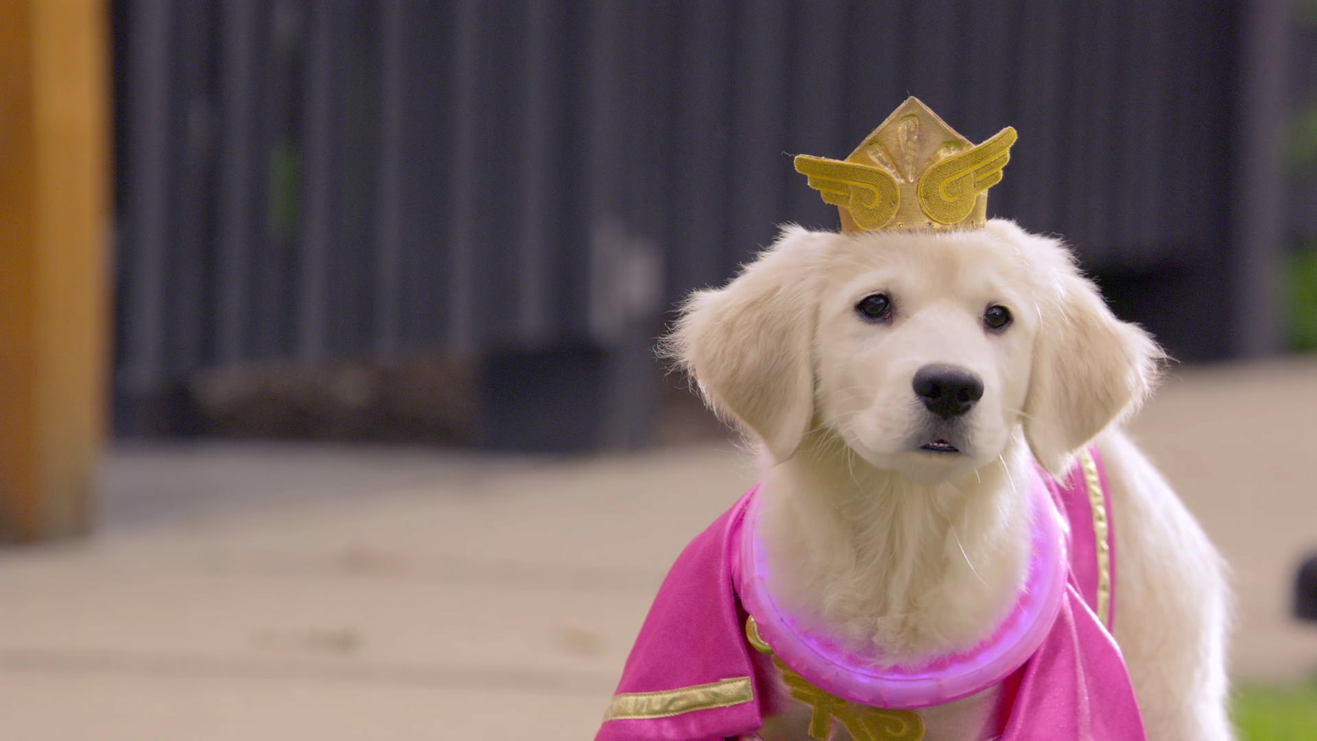 Super Buddies (2013) - Animation Screencaps.com