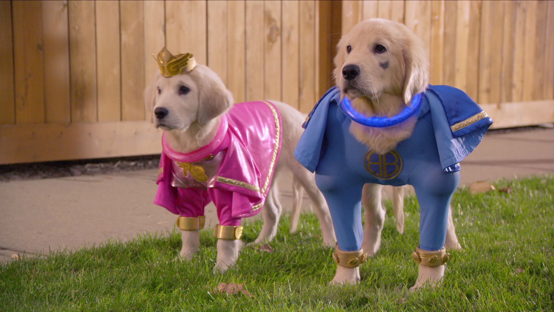 Super Buddies (2013) - Animation Screencaps.com