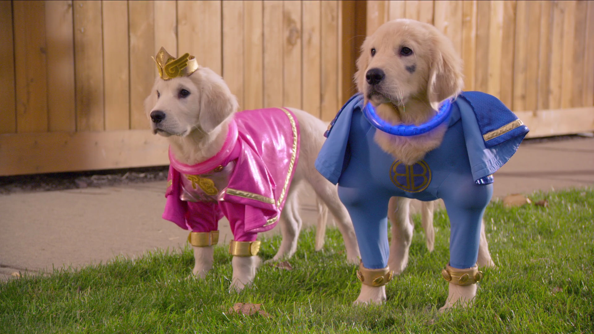 Super Buddies (2013) - Animation Screencaps.com