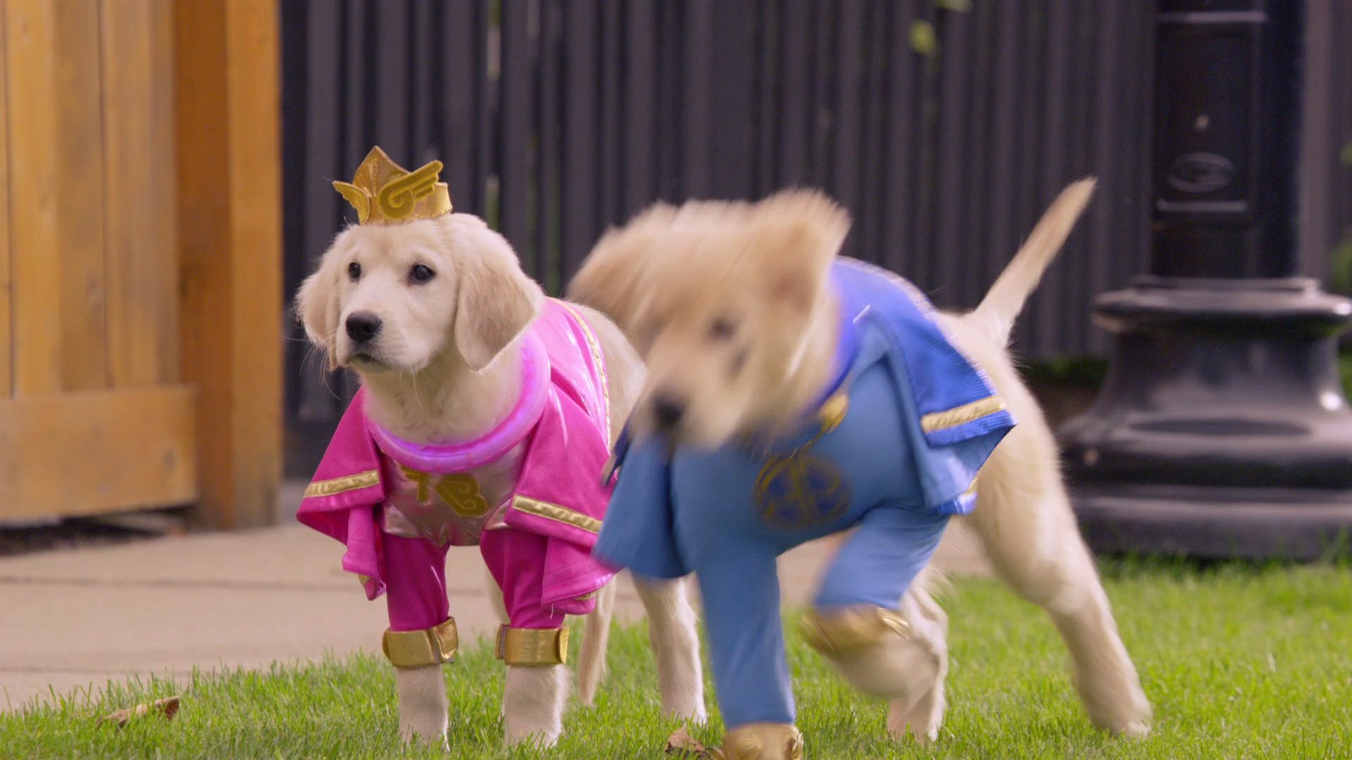 Super Buddies (2013) - Animation Screencaps.com