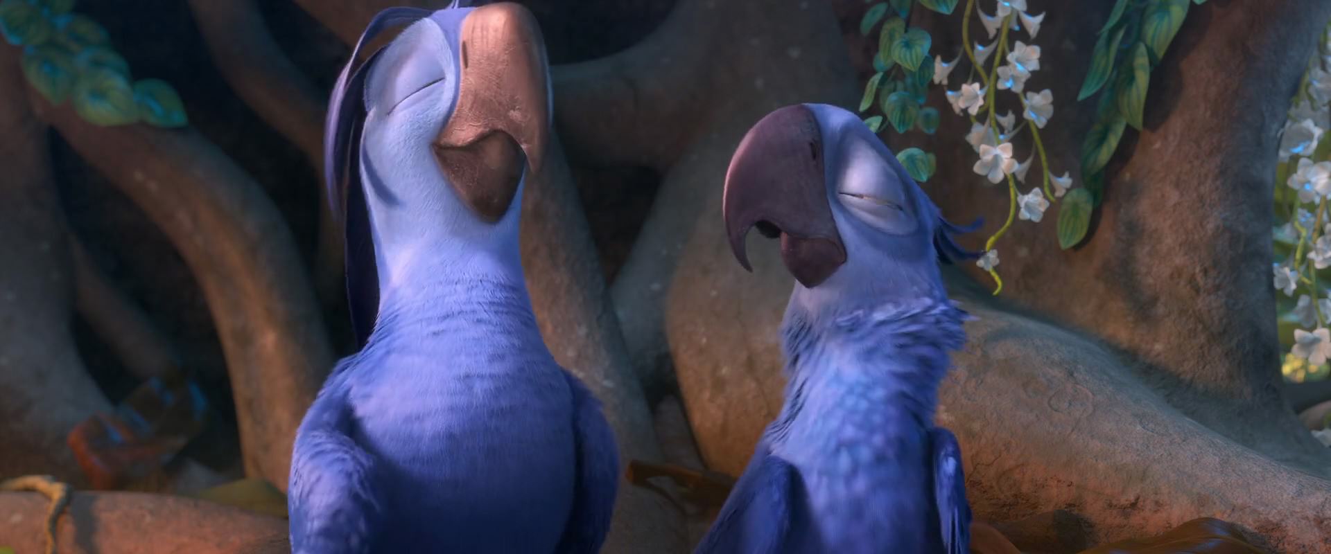 Rio 2 (2014) - Animation Screencaps.com