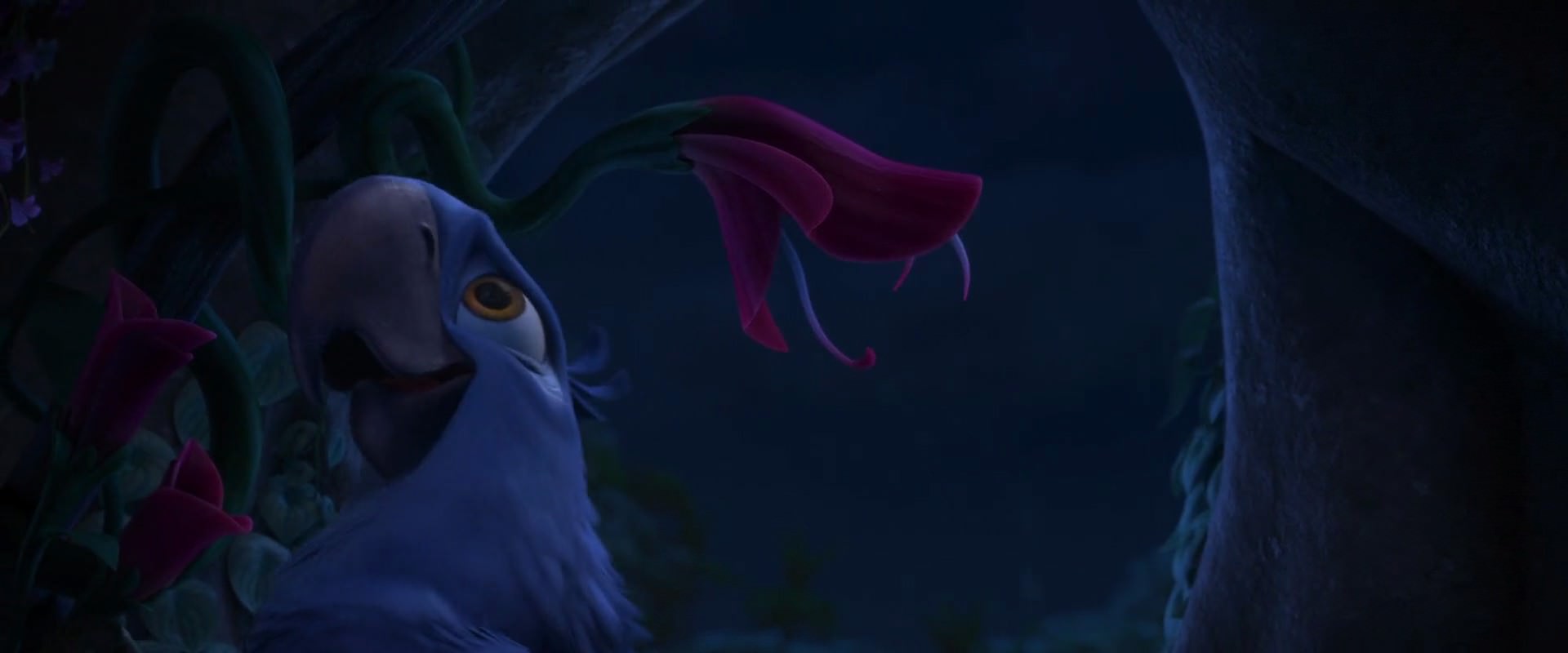 Rio 2 (2014) - Animation Screencaps.com