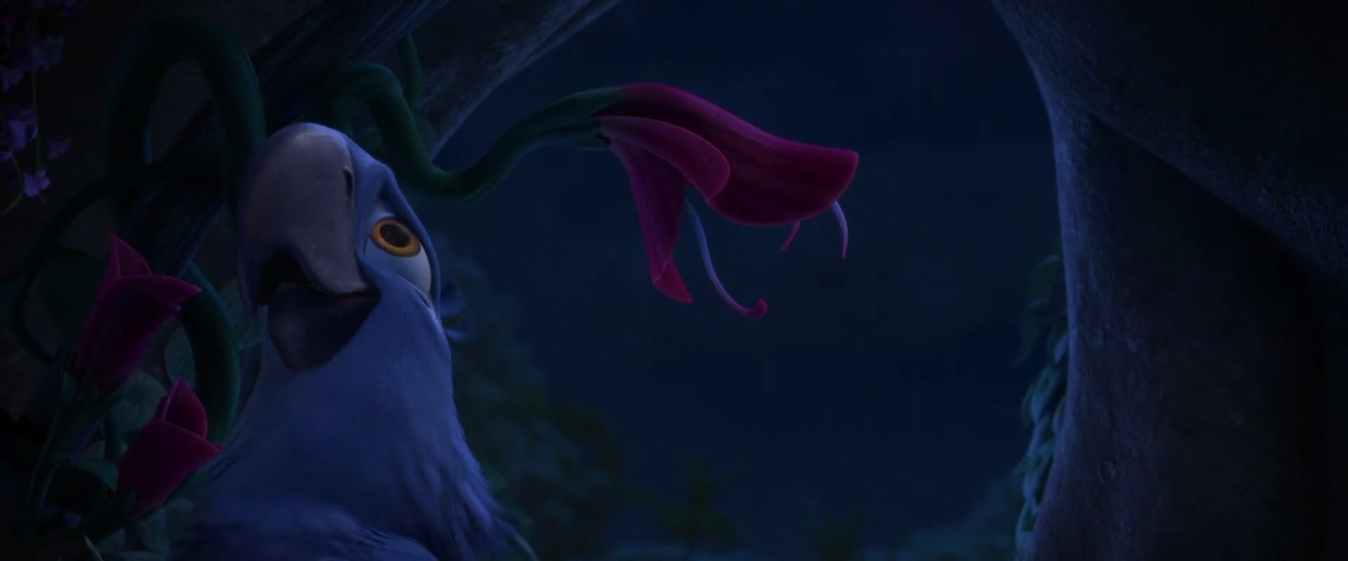 Rio 2 (2014) - Animation Screencaps.com