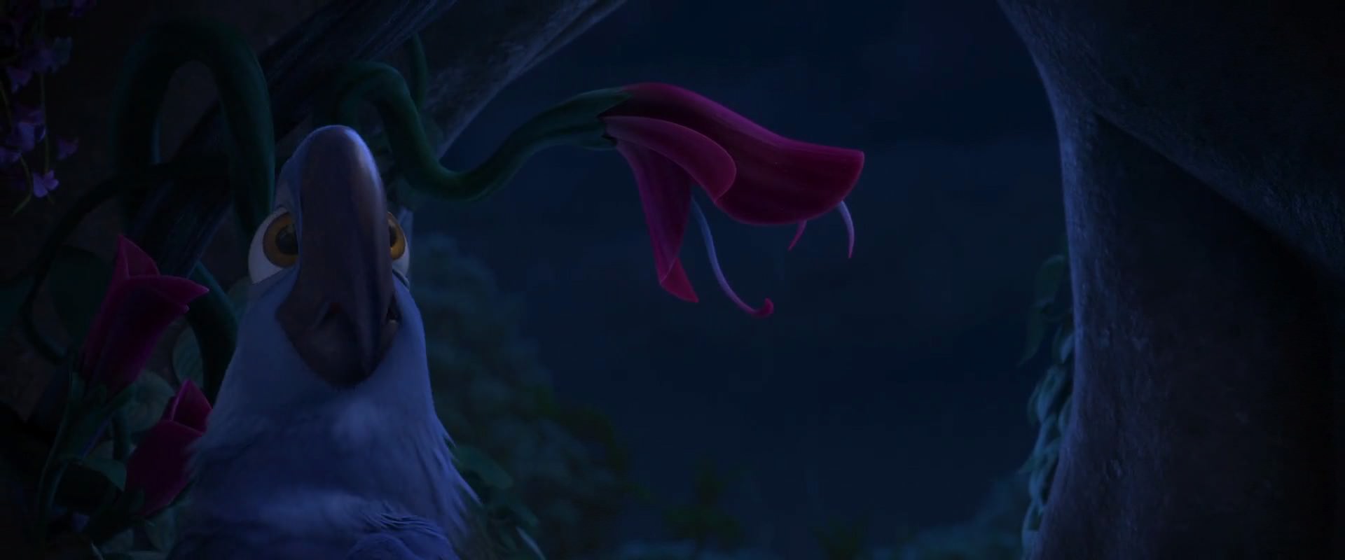 Rio 2 (2014) - Animation Screencaps.com