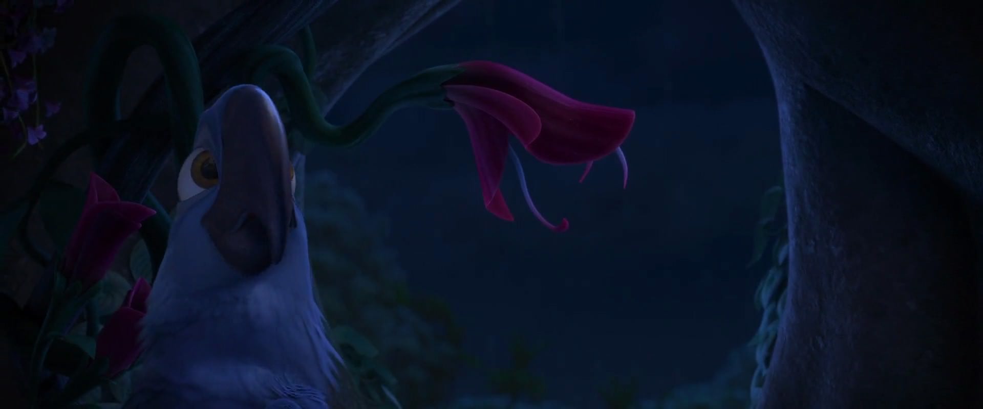 Rio 2 (2014) - Animation Screencaps.com