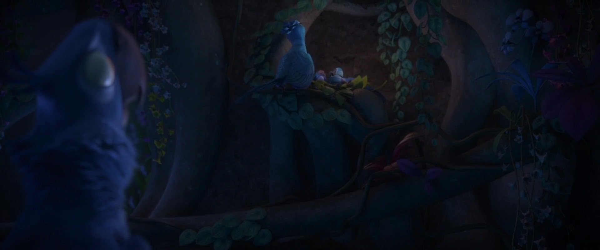Rio 2 (2014) - Animation Screencaps.com