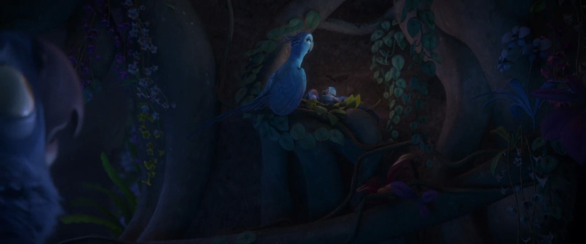 Rio 2 (2014) - Animation Screencaps.com