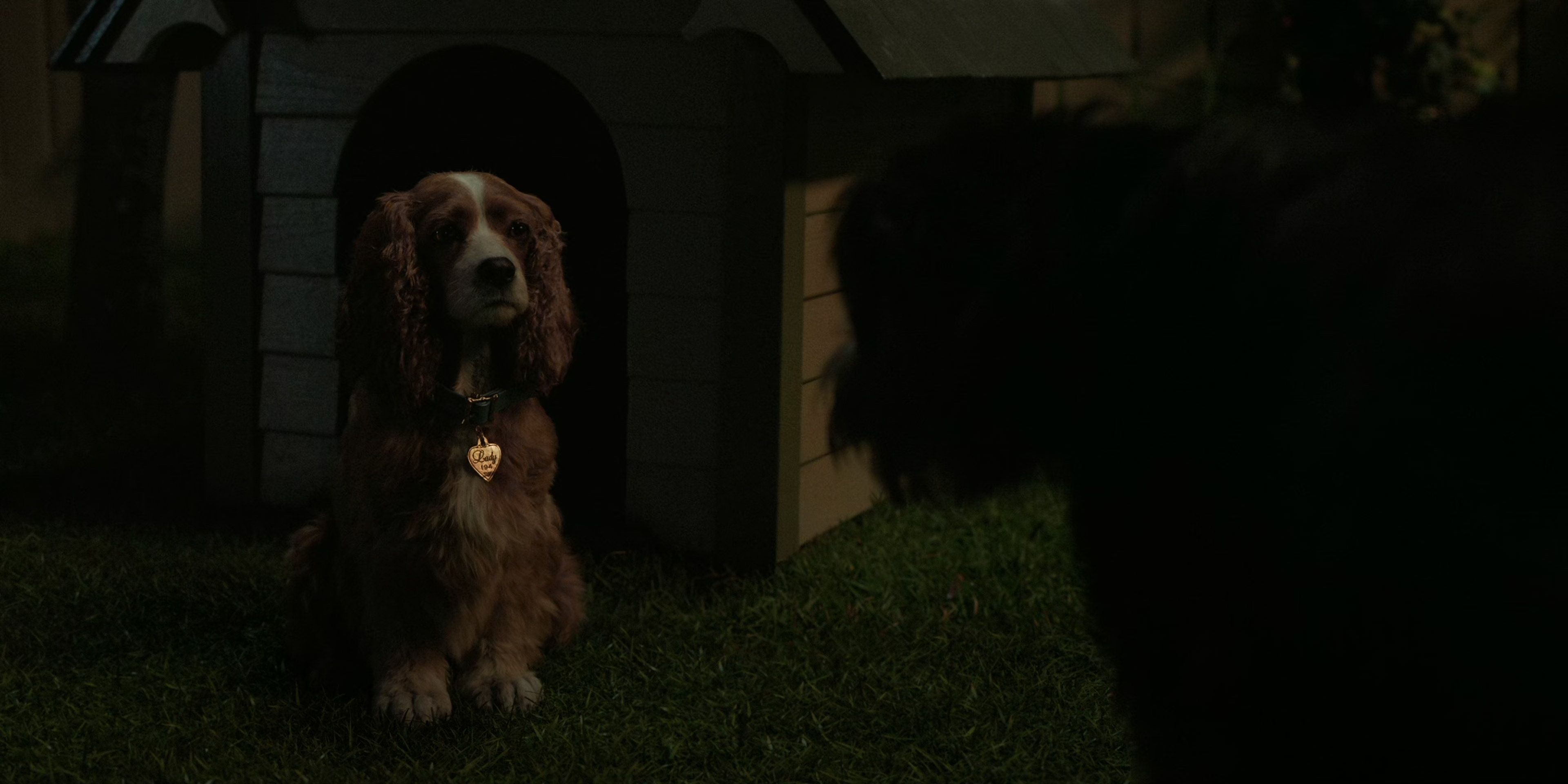 Lady and the Tramp (2019) [4K] - Animation Screencaps.com