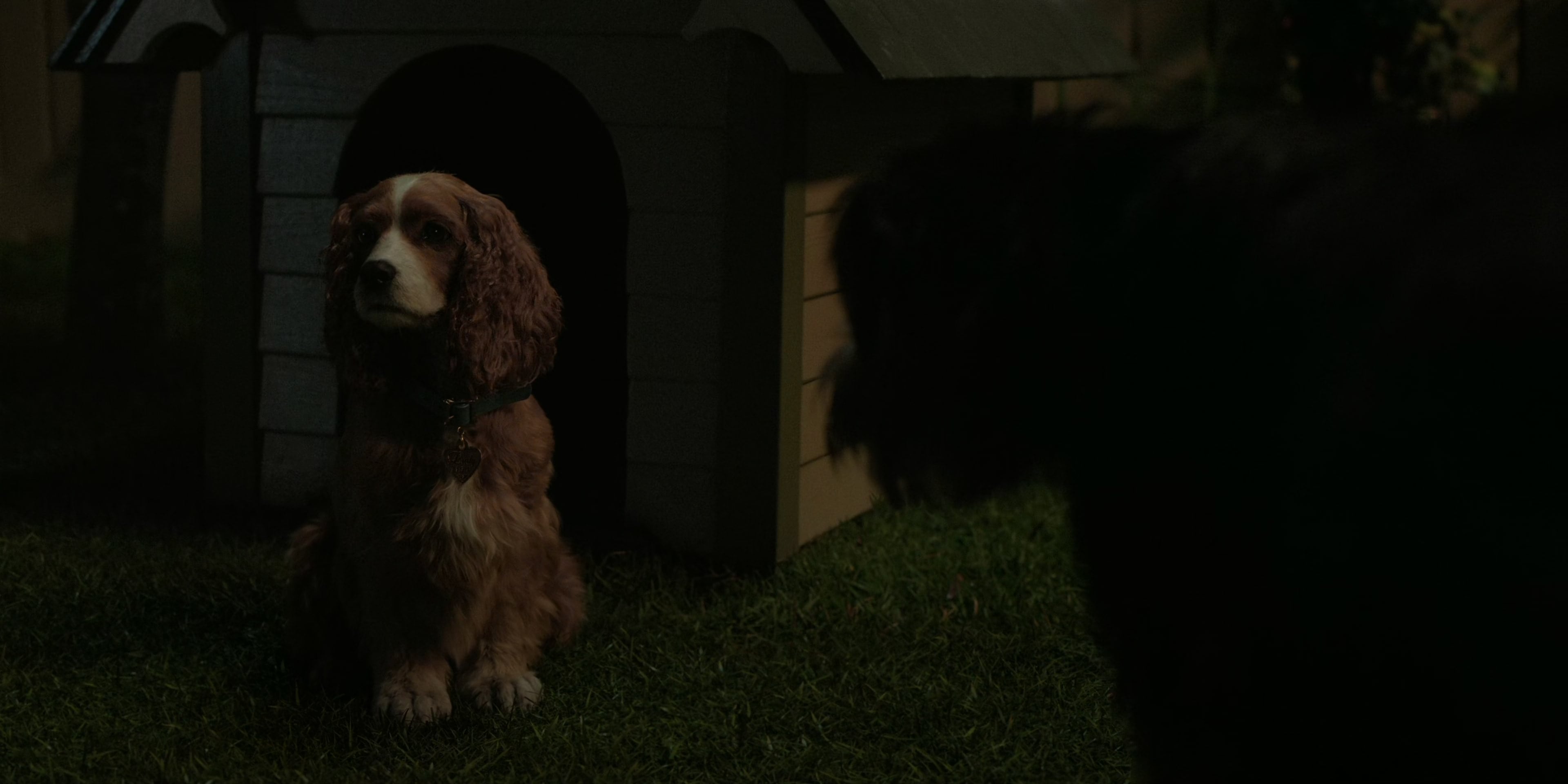 Lady and the Tramp (2019) [4K] - Animation Screencaps.com