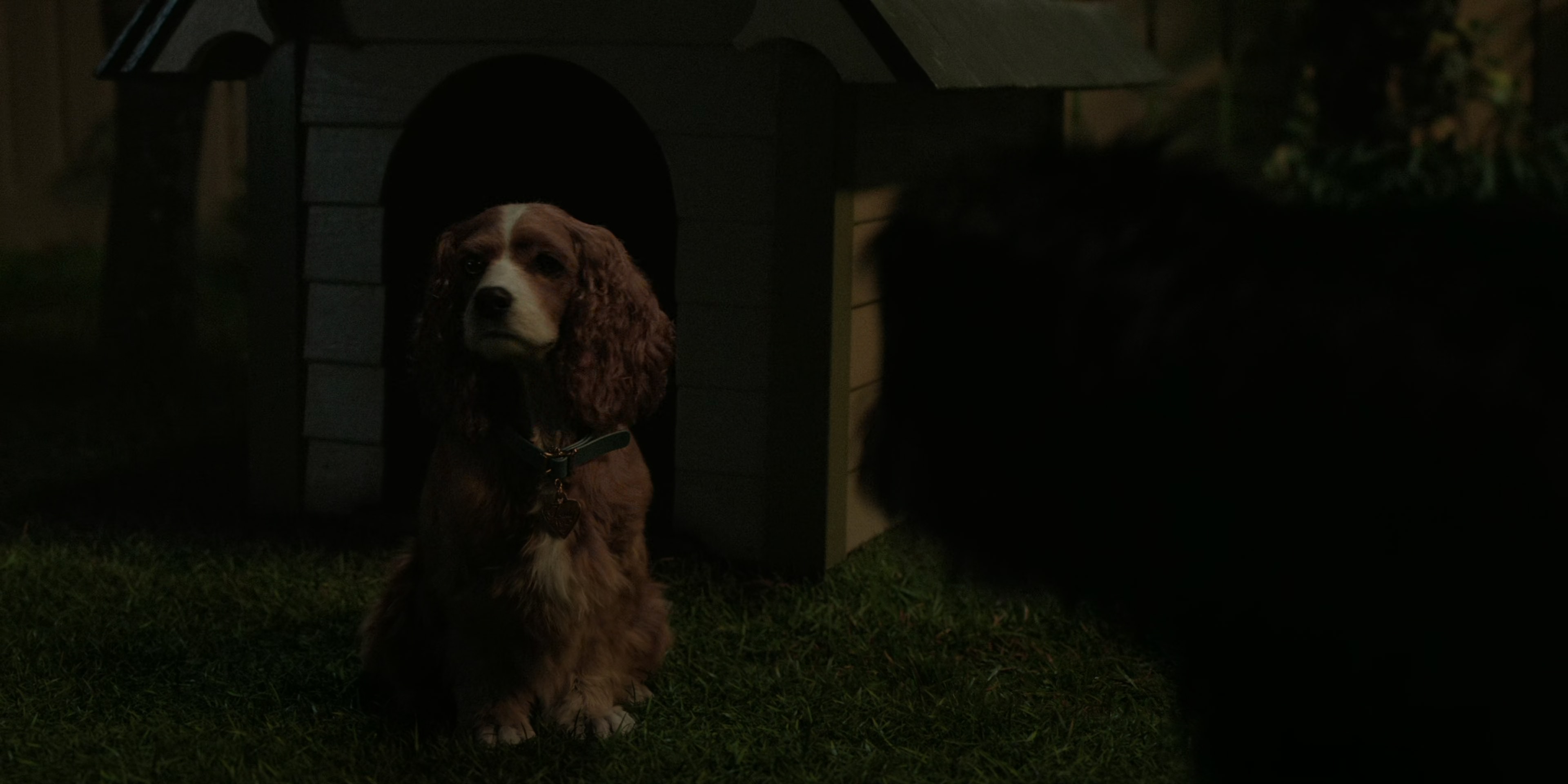 Lady and the Tramp (2019) [4K] - Animation Screencaps.com