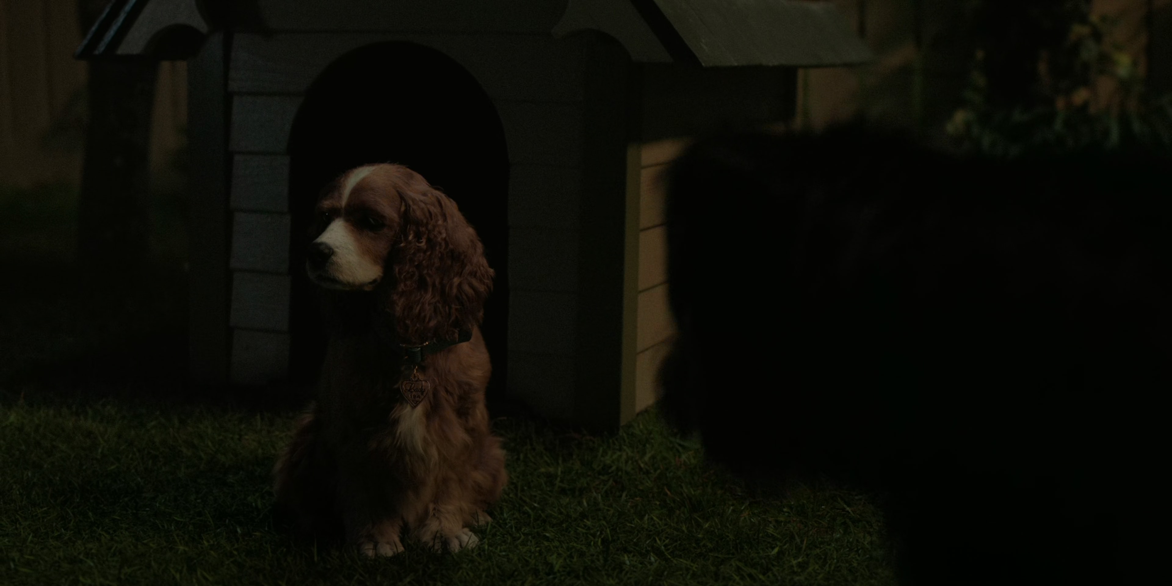 Lady and the Tramp (2019) [4K] - Animation Screencaps.com