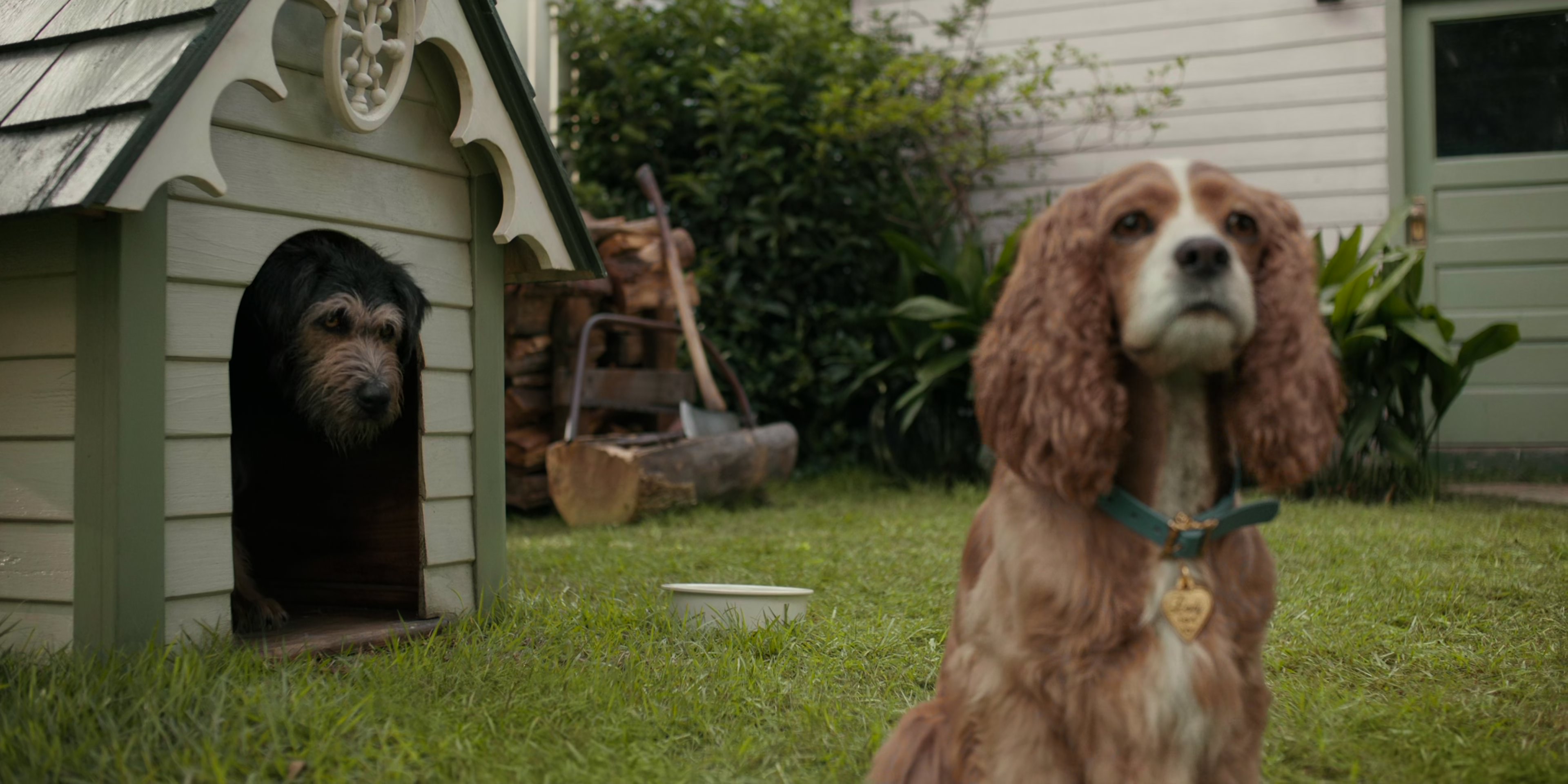 Lady and the Tramp (2019) [4K] - Animation Screencaps.com