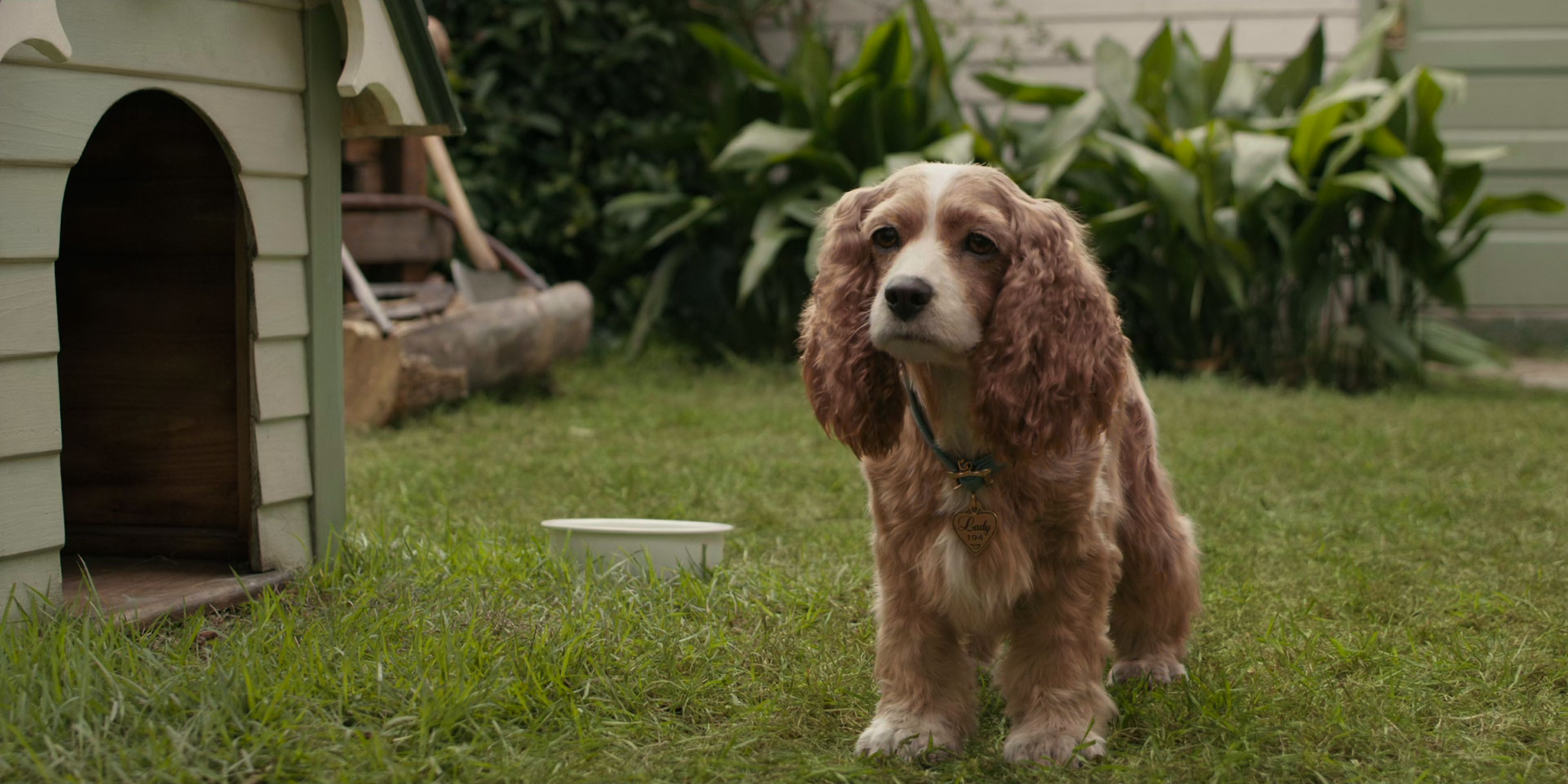 Lady and the Tramp (2019) [4K] - Animation Screencaps.com