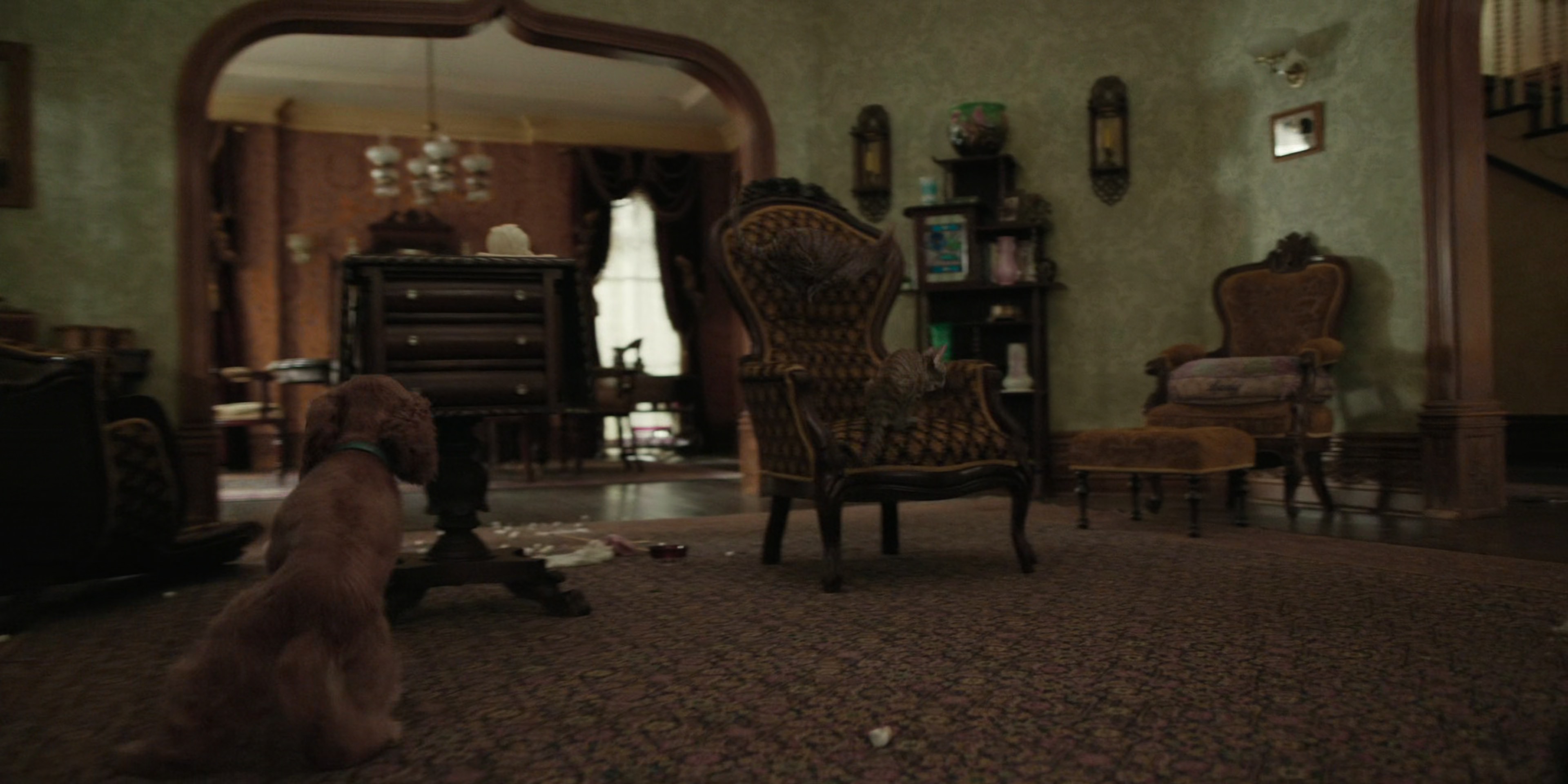 Lady and the Tramp (2019) [4K] - Animation Screencaps.com