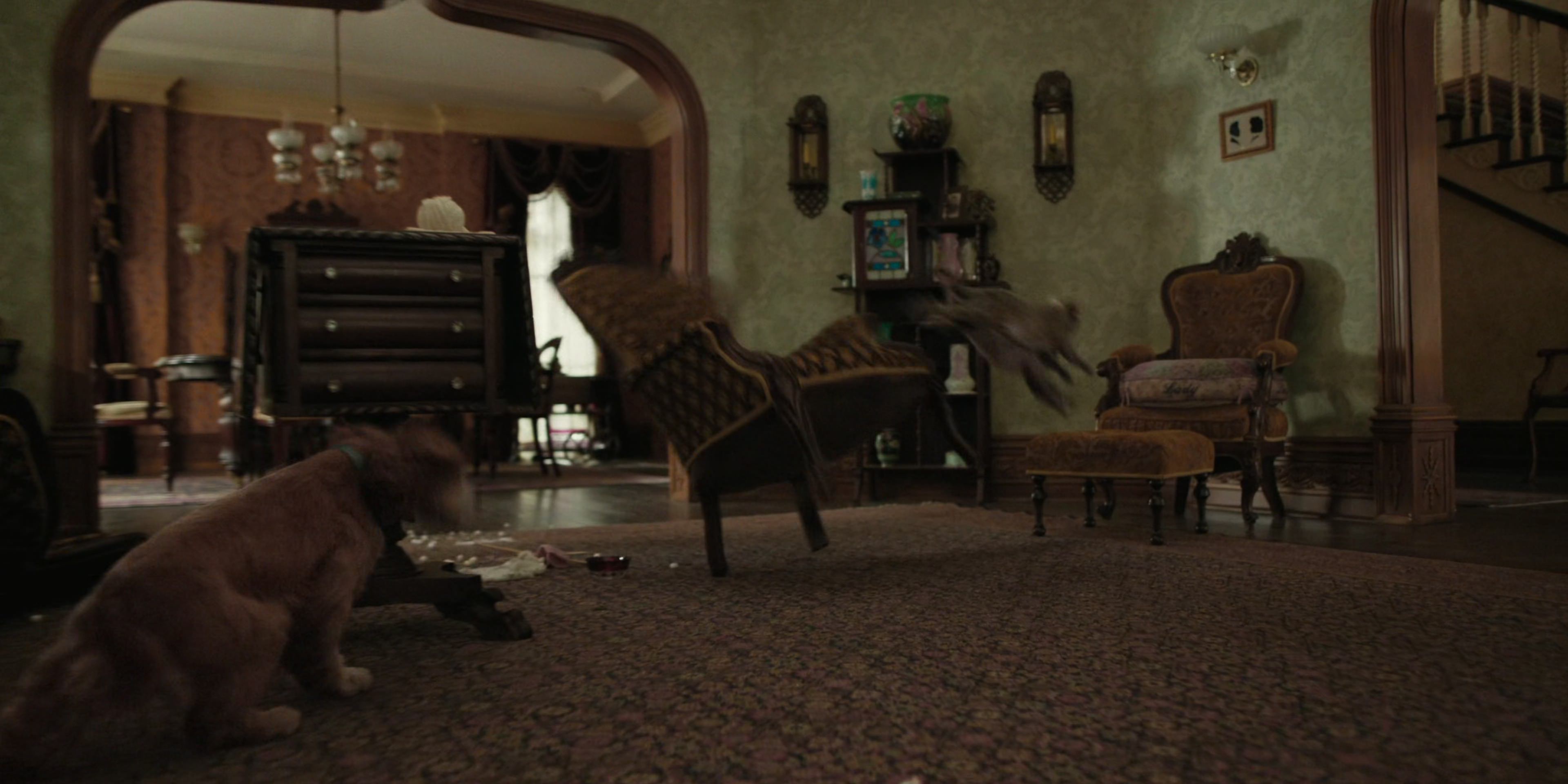 Lady and the Tramp (2019) [4K] - Animation Screencaps.com