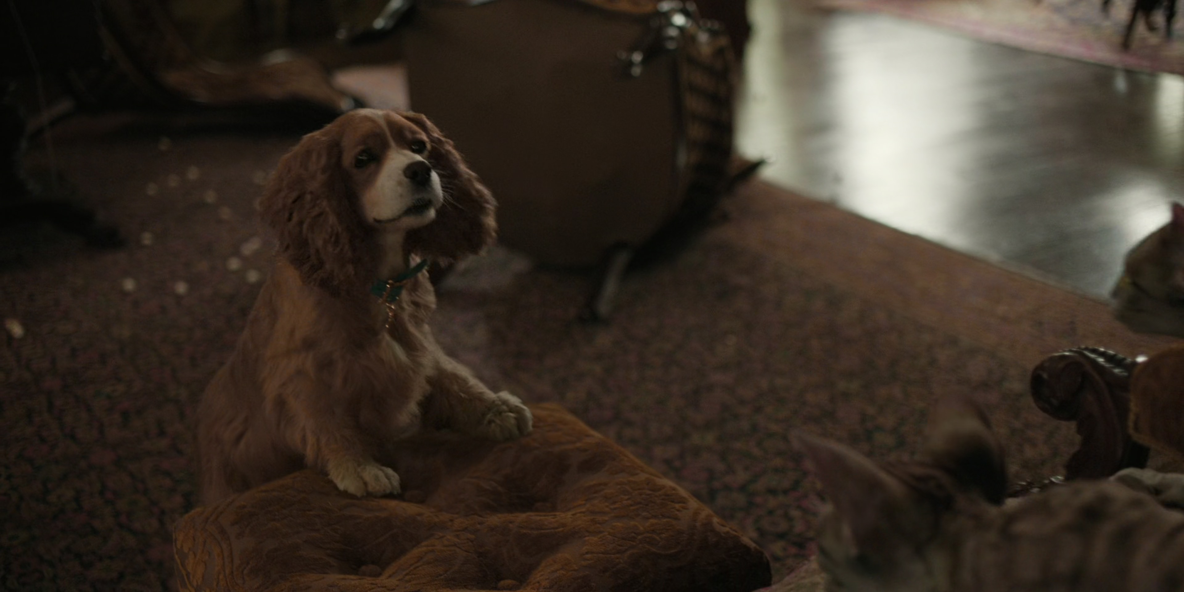 Lady and the Tramp (2019) [4K] - Animation Screencaps.com